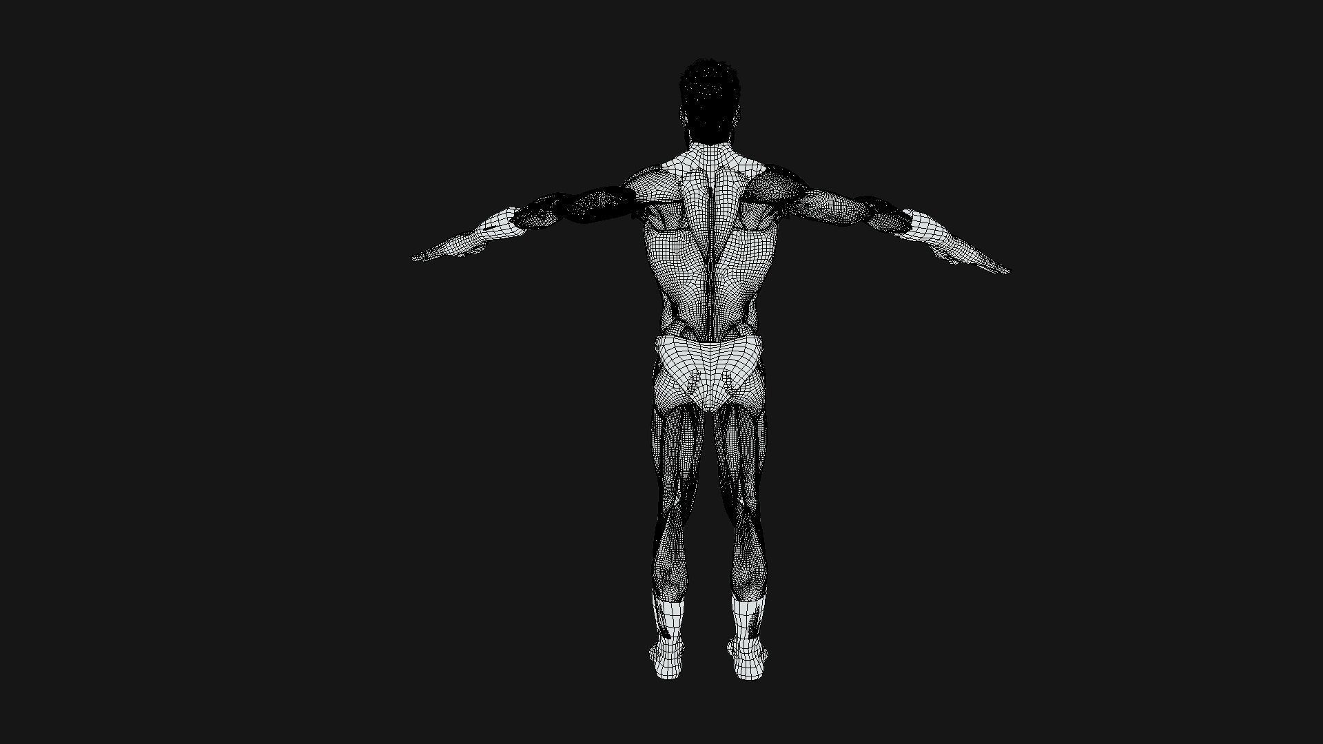 3D model Muscular Man Exposed Muscles fitness crossfit Health VR / AR ...