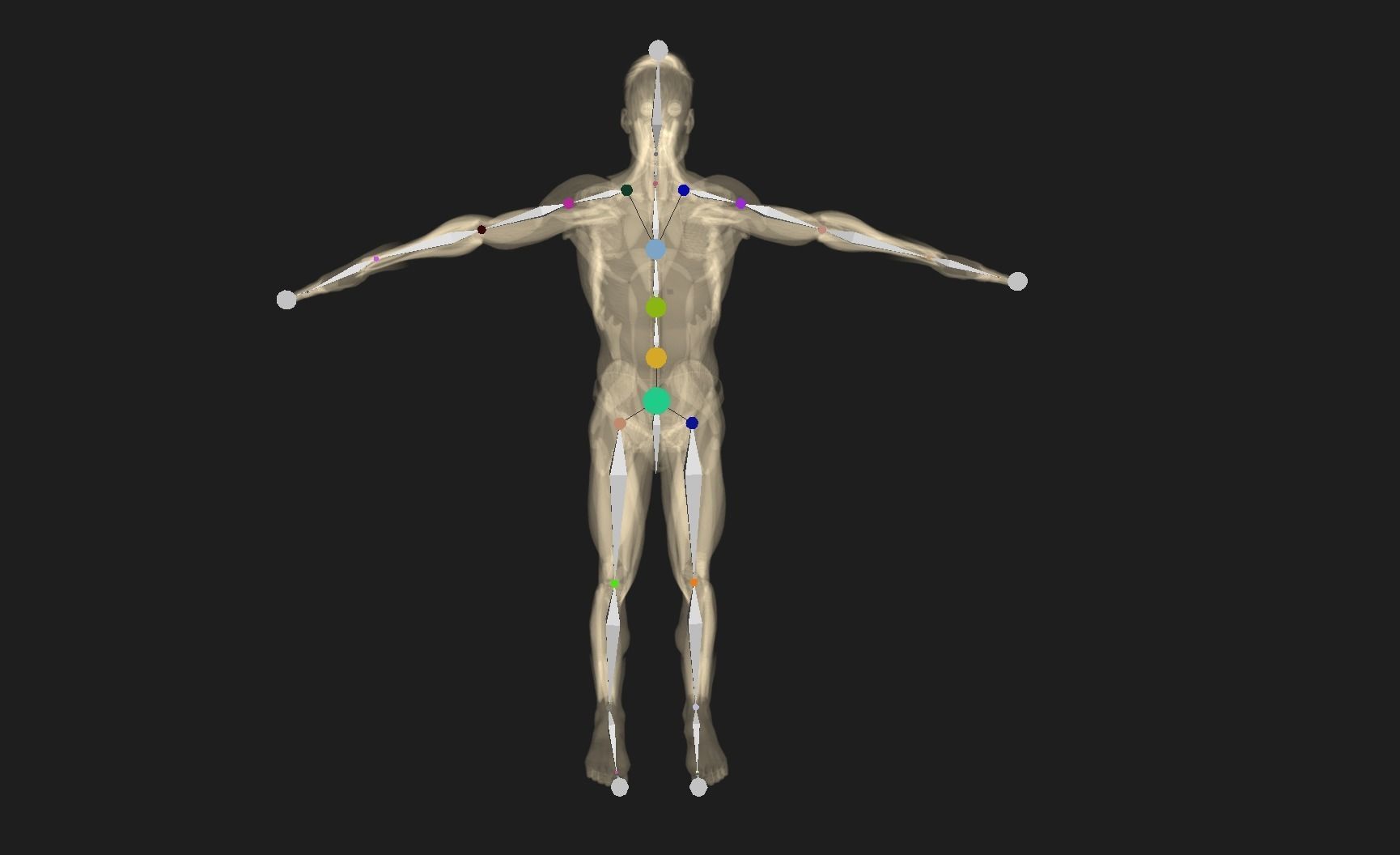 3D model Muscular Man Exposed Muscles fitness crossfit Health VR / AR ...