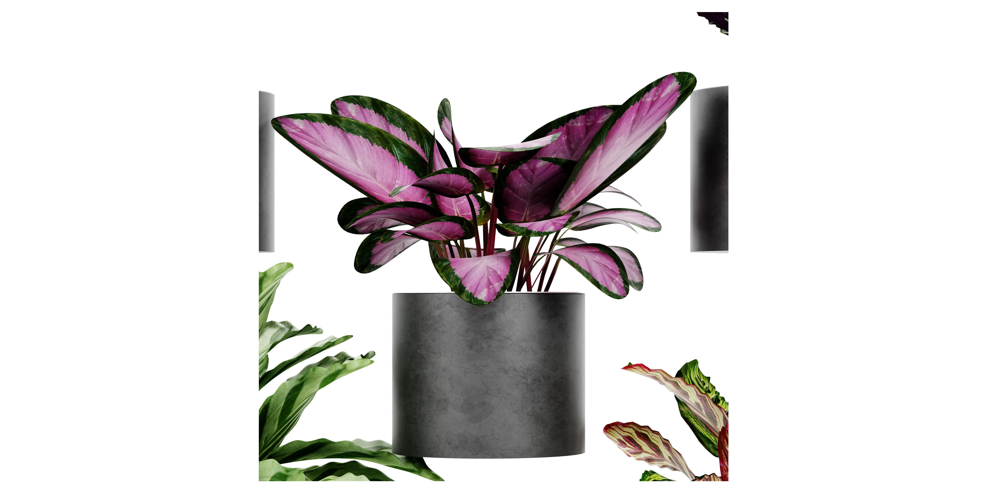 Collection plant vol 459 - blender model 3D model | CGTrader