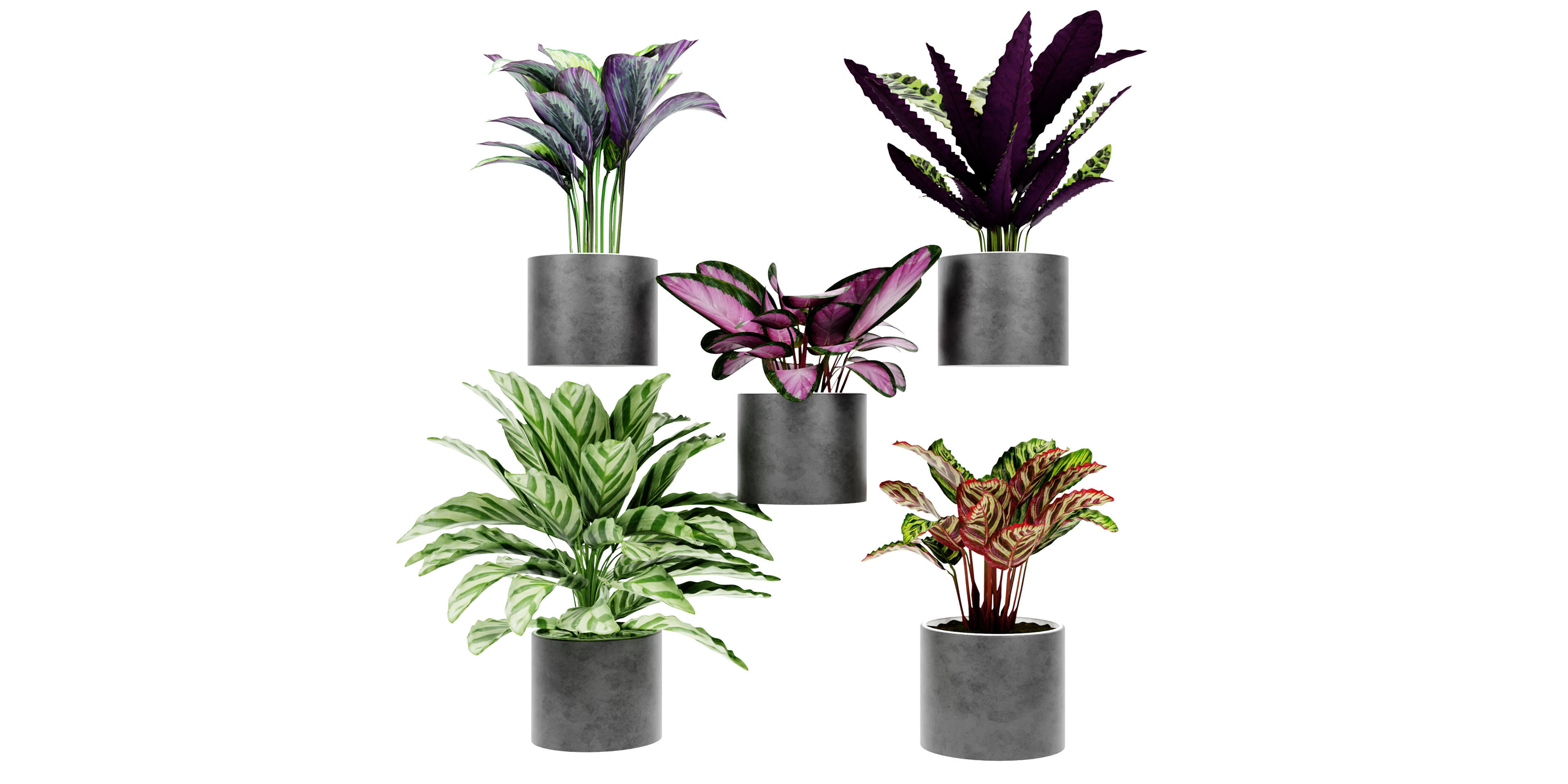 Collection plant vol 459 - blender model 3D model | CGTrader