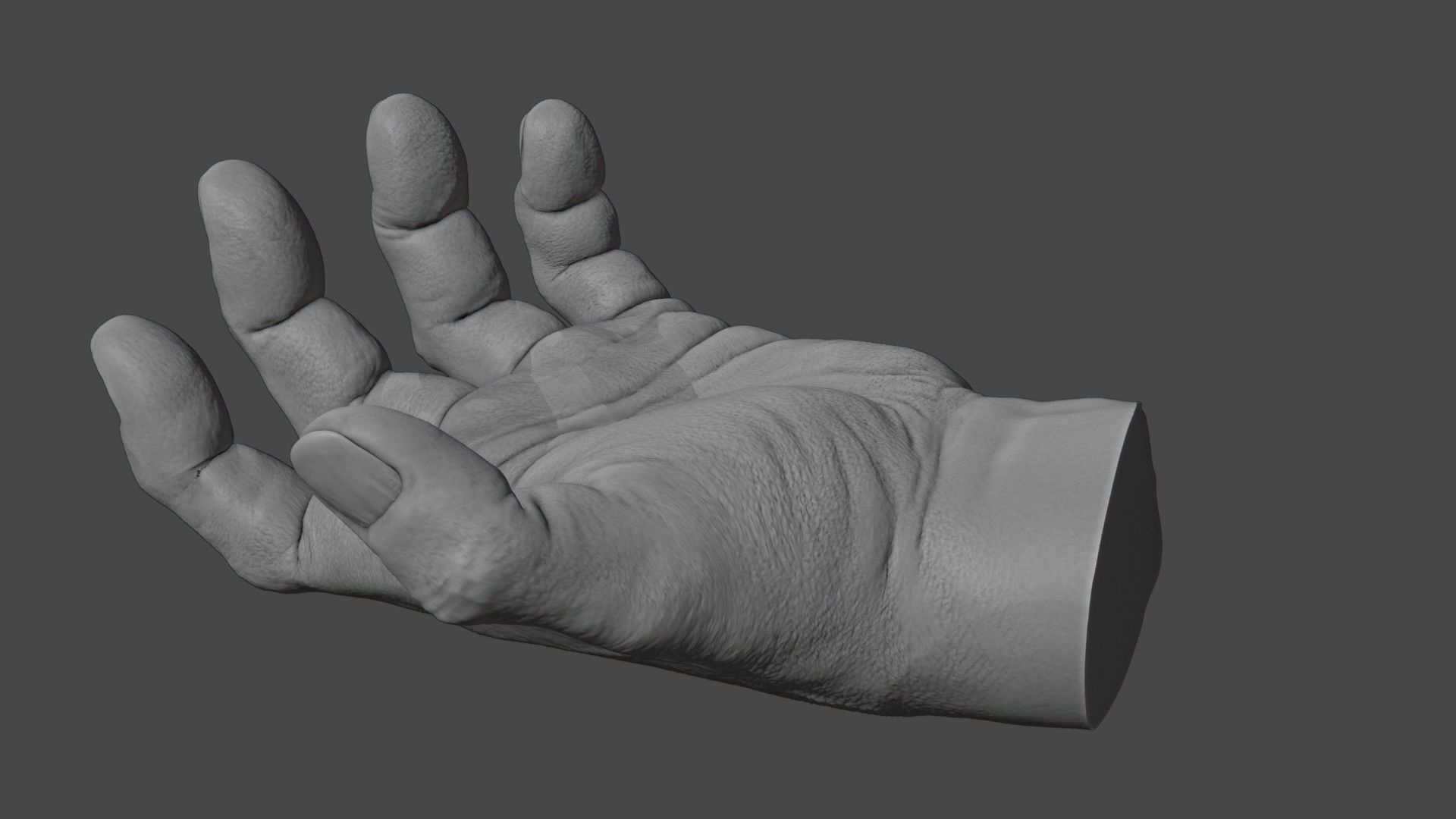 Human hand 3D model rigged | CGTrader