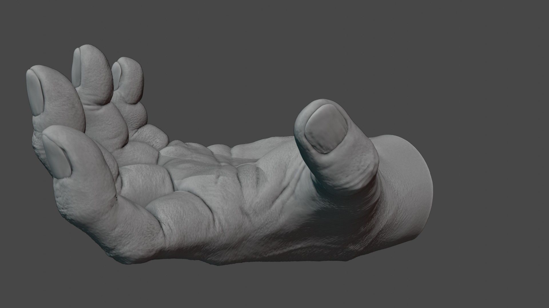 Human hand 3D model rigged | CGTrader