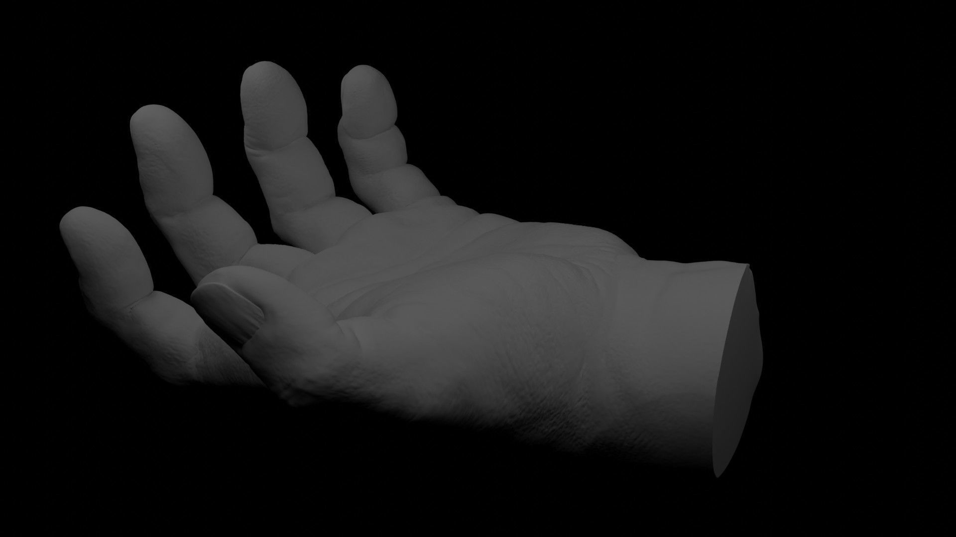 Human hand 3D model rigged | CGTrader