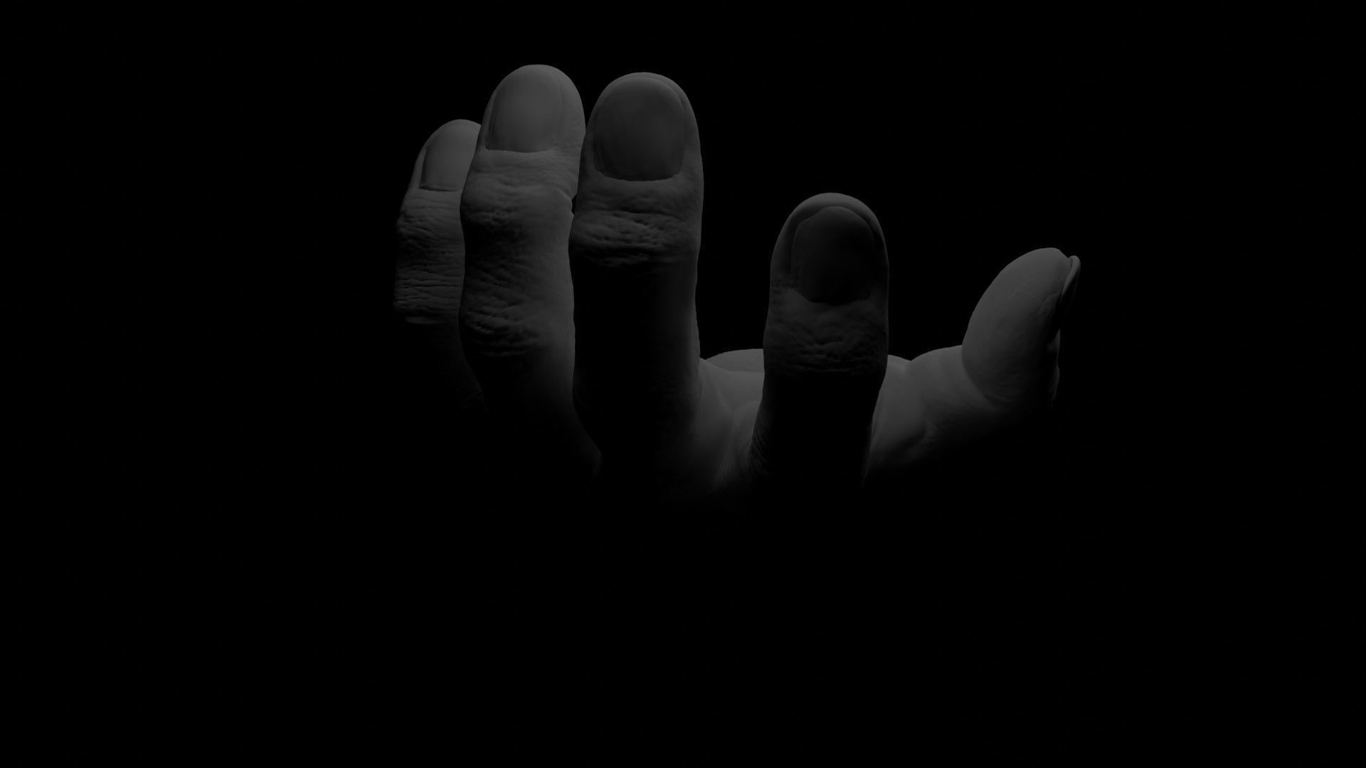 Human hand 3D model rigged | CGTrader