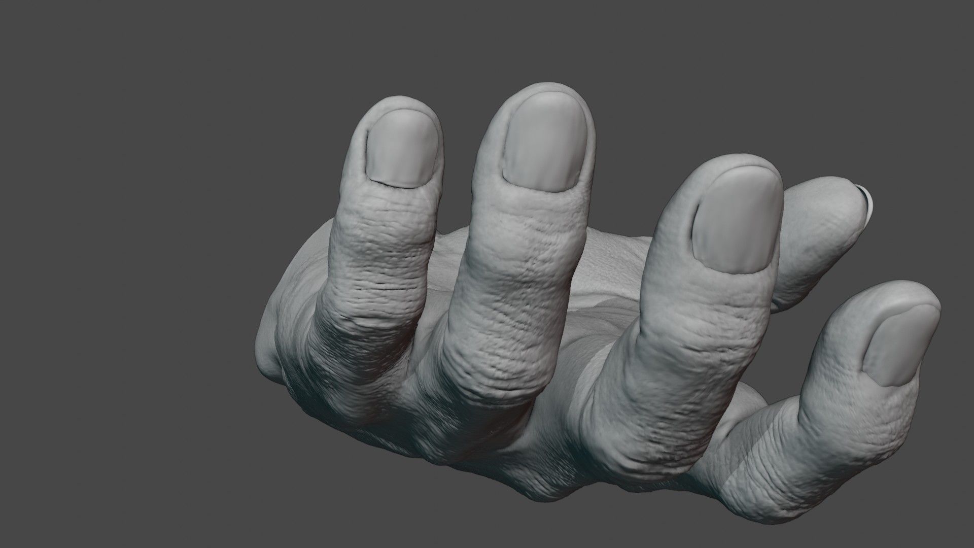 Human hand 3D model rigged | CGTrader