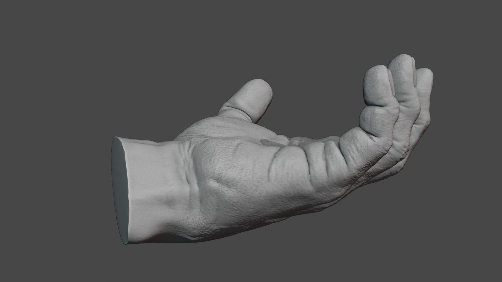 Human hand 3D model rigged | CGTrader