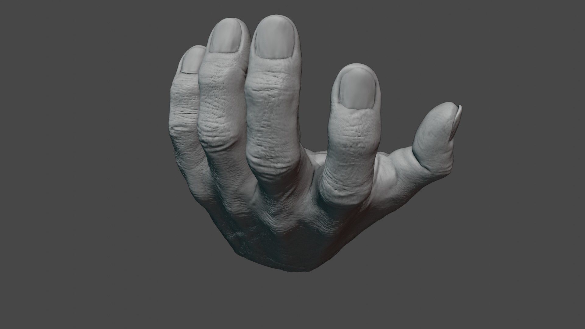 Human hand 3D model rigged | CGTrader