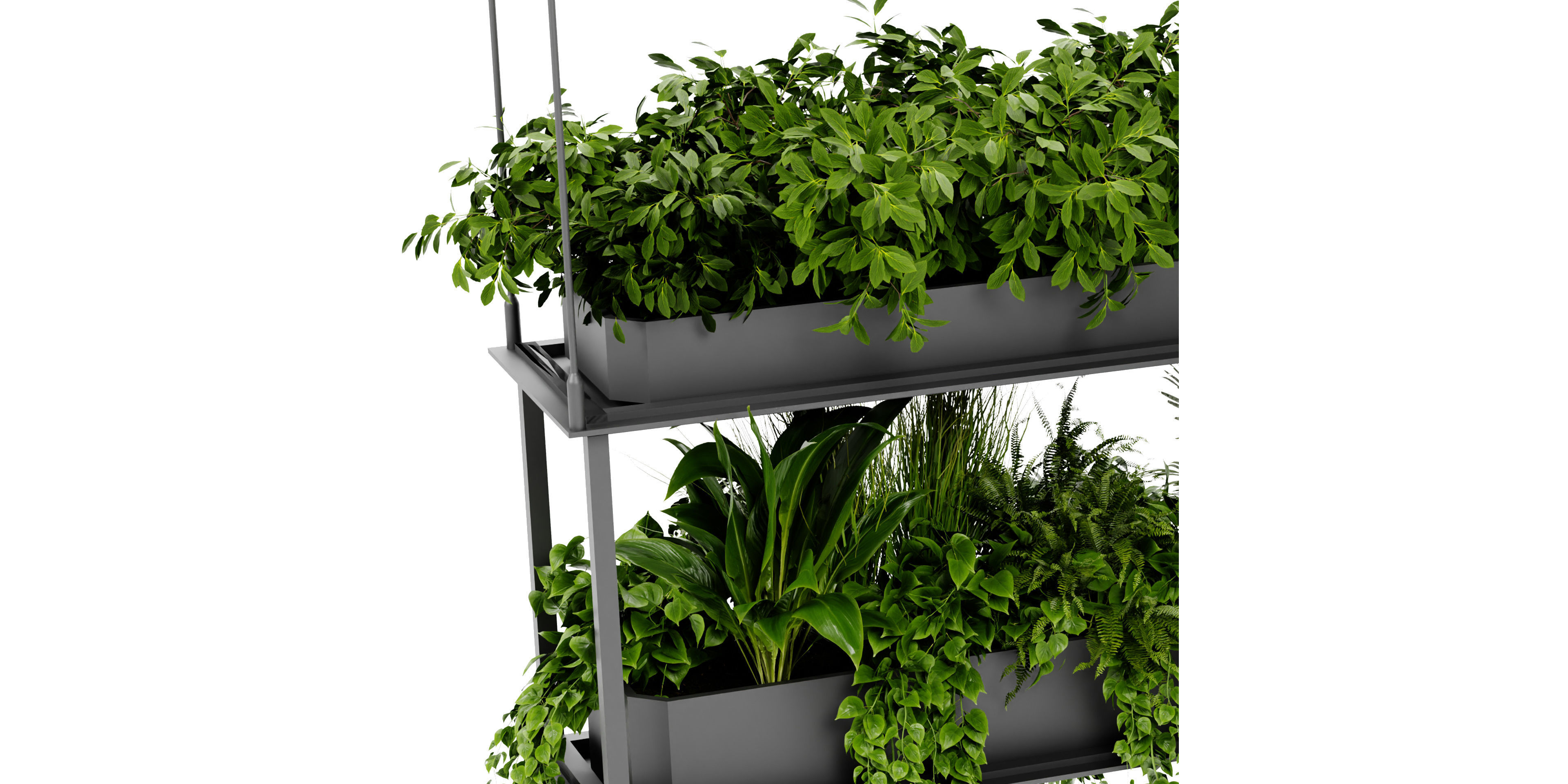 Collection plant vol 470 - blender model 3D model | CGTrader