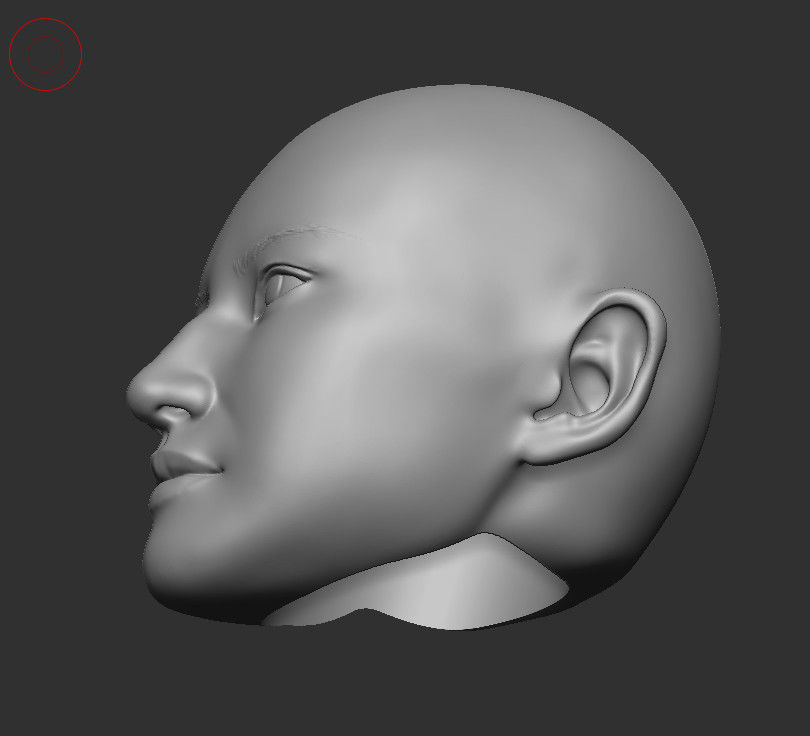 Liu Yifei Crystal Liu HEAD 3D STL FOR PRINT 3D model 3D printable ...