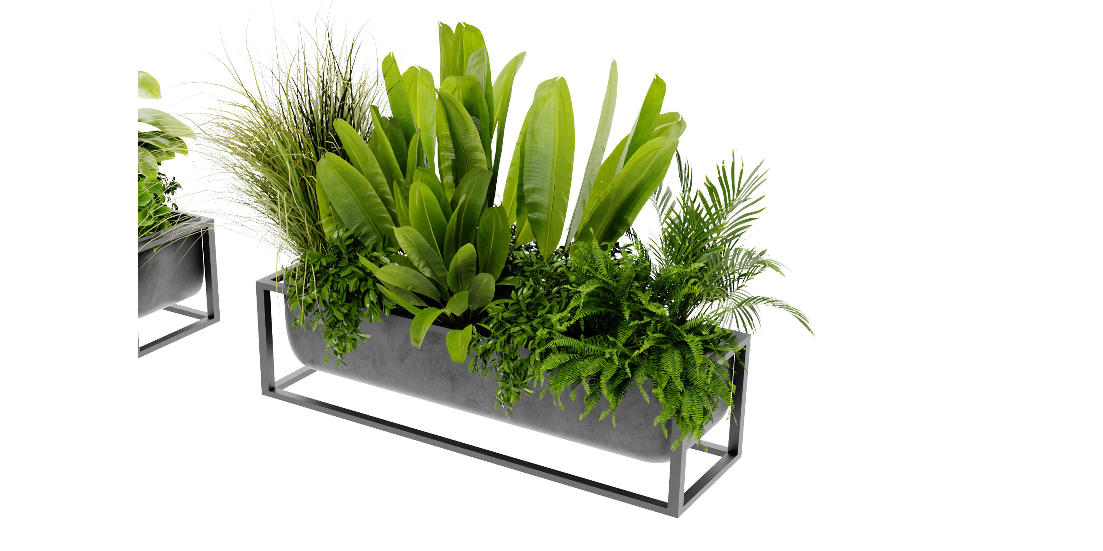 Collection plant vol 473 - blender model 3D model | CGTrader