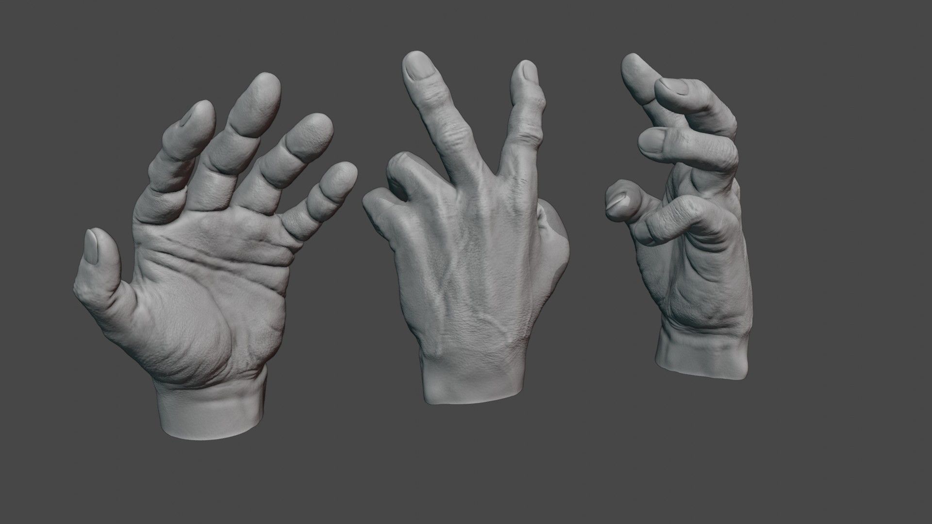 Human hand 3D model rigged | CGTrader