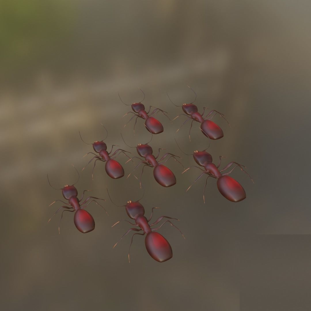3D model Low Poly Red Ant VR / AR / low-poly | CGTrader