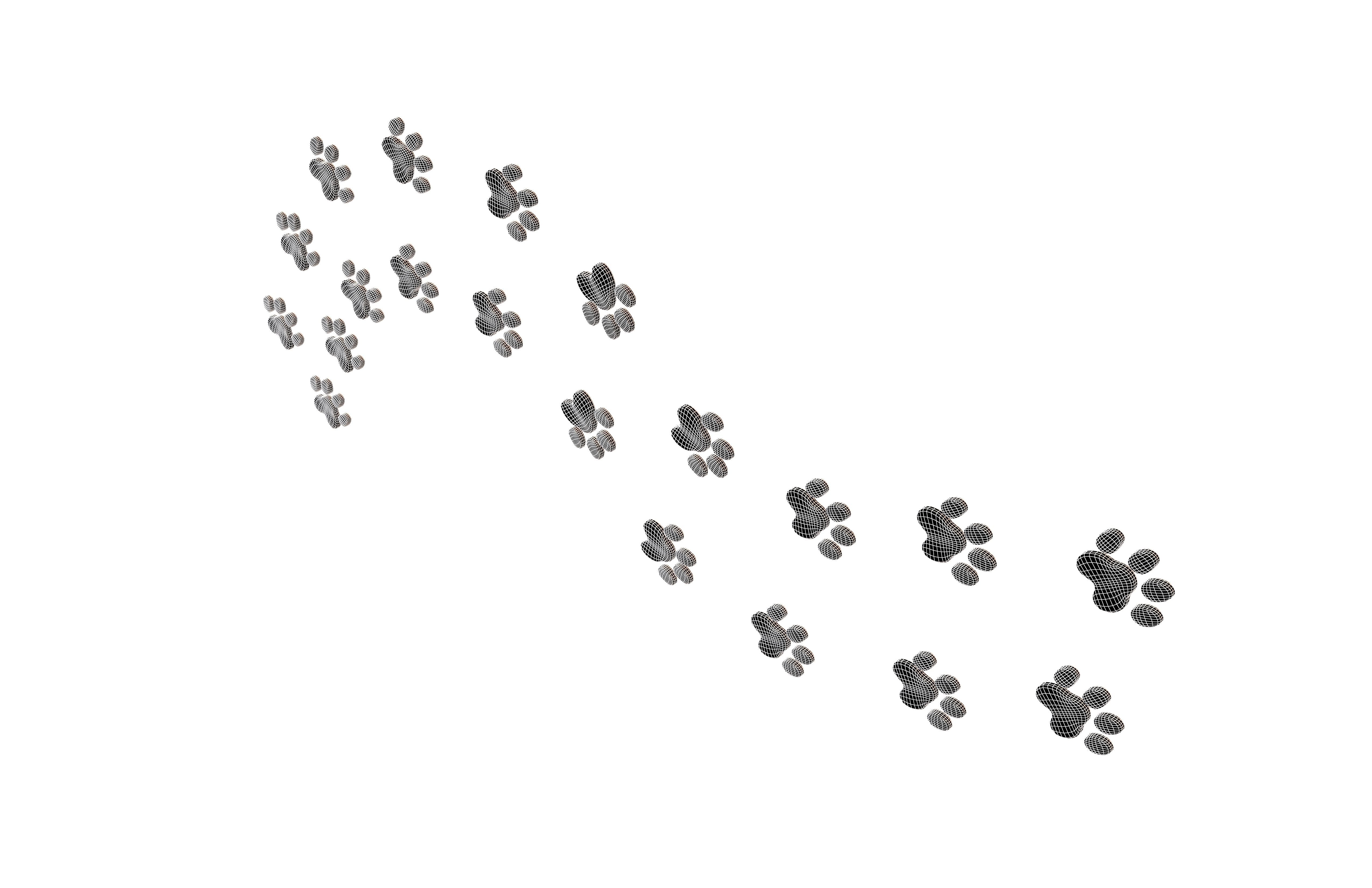 3D model Dog Paw Print Path v1 003 VR / AR / low-poly | CGTrader