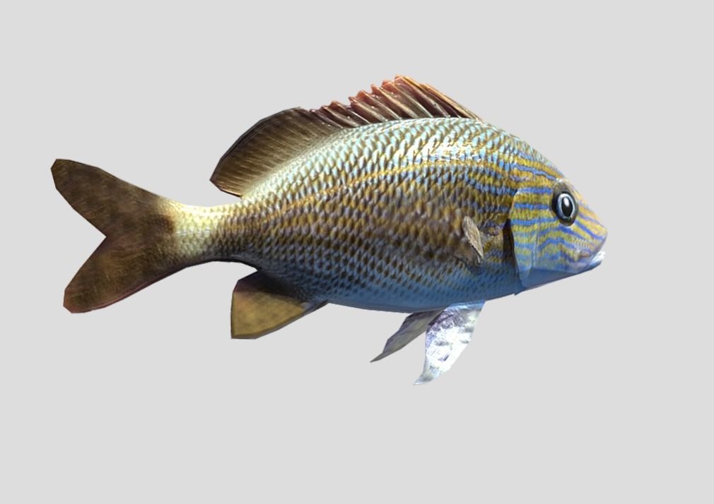 3D model White Grunt VR / AR / low-poly | CGTrader