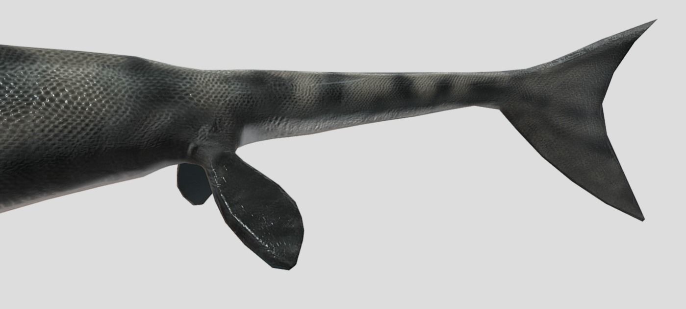 3D model Tylosaurus VR / AR / low-poly | CGTrader