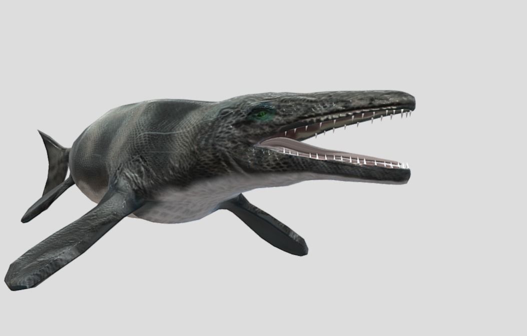 3D model Tylosaurus VR / AR / low-poly | CGTrader