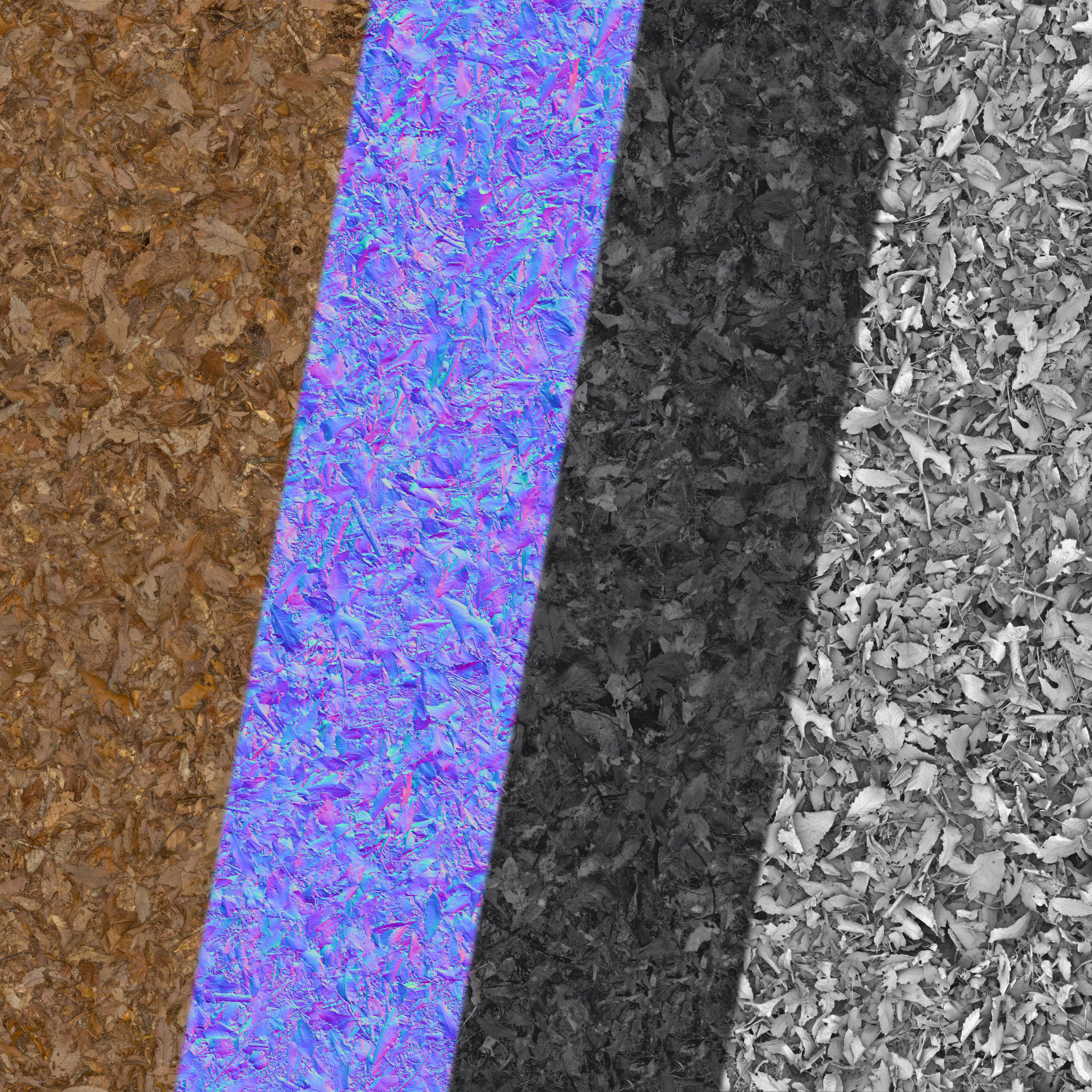 Forest Leaves Ground 01 - Free 4K Material free Texture | CGTrader