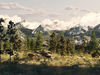 Large Scene Forest 3ds max 2023 - Vray 6 3D model | CGTrader