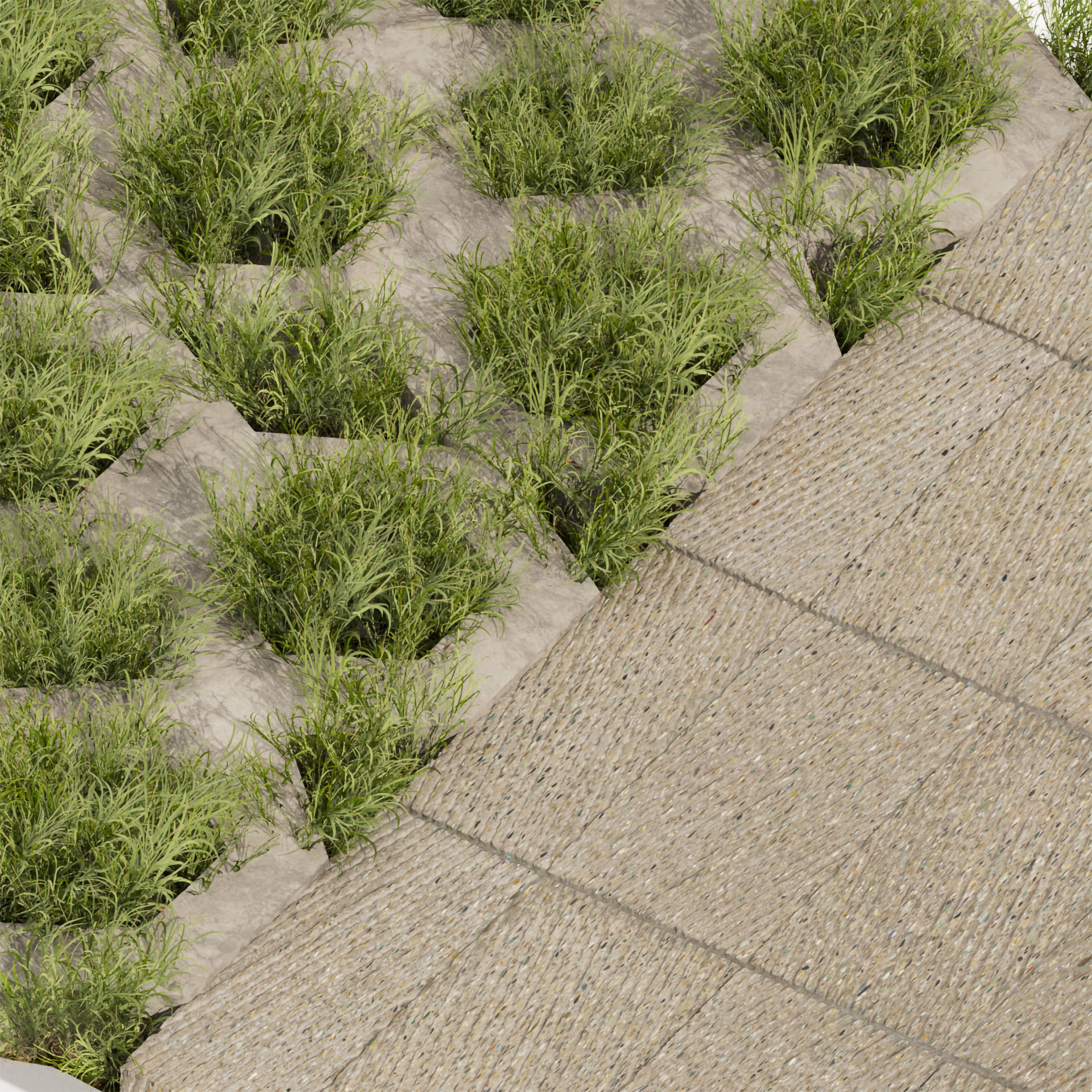 Collection plant vol 499 - concrete - tileable - grass 3D model | CGTrader