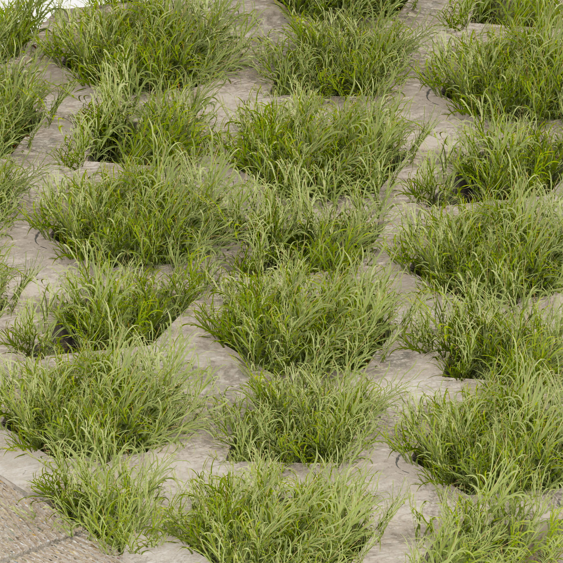 Collection plant vol 499 - concrete - tileable - grass 3D model | CGTrader