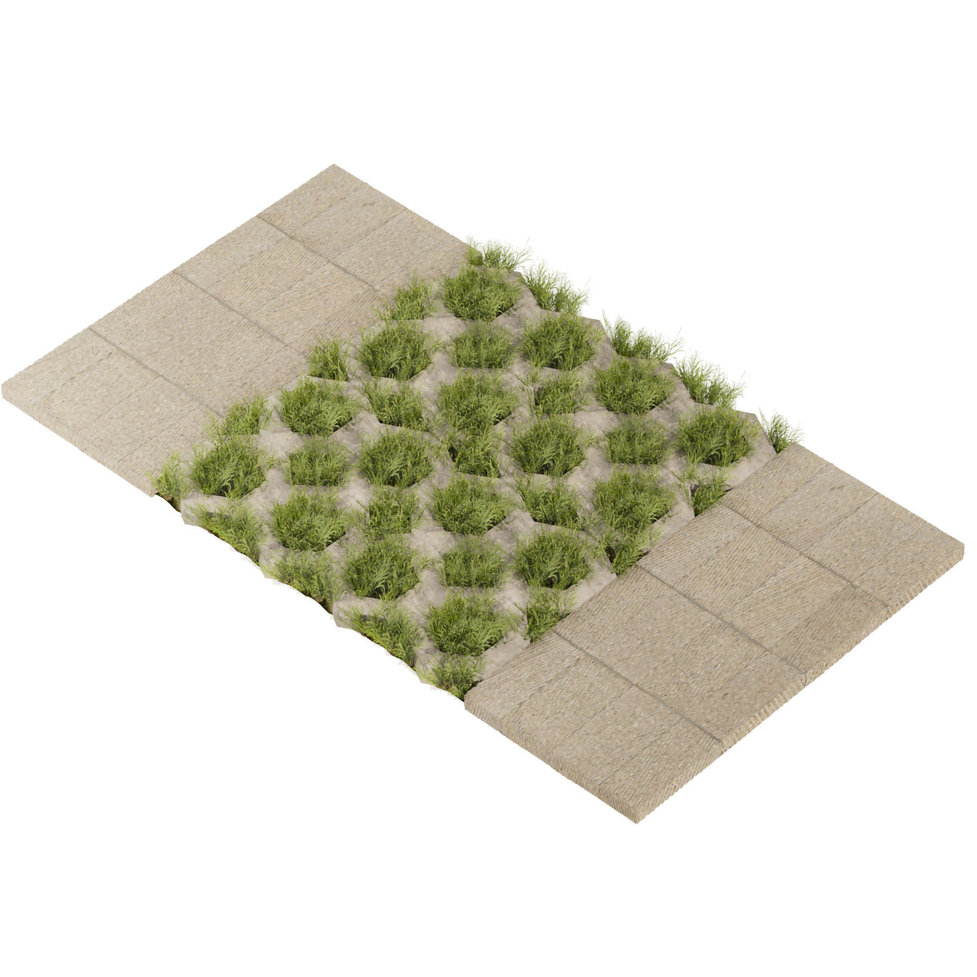 Collection plant vol 499 - concrete - tileable - grass 3D model | CGTrader