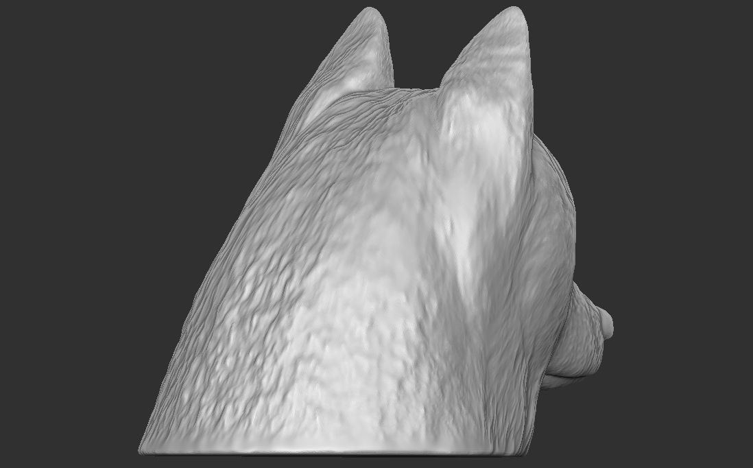 Syberian Husky dog head for 3D printing 3D model 3D printable | CGTrader