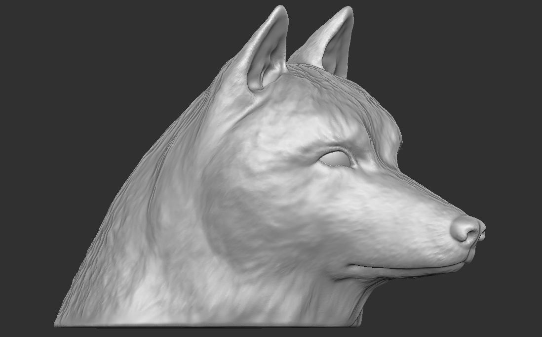 Syberian Husky dog head for 3D printing 3D model 3D printable | CGTrader