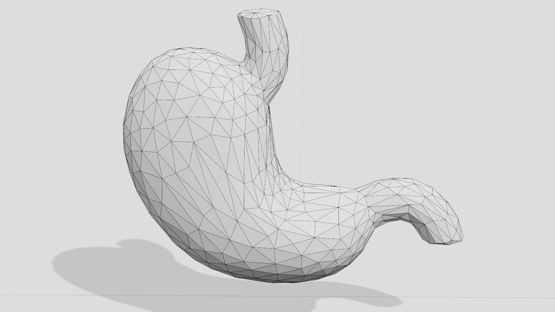 3D model Pink low poly organ stomach VR / AR / low-poly | CGTrader