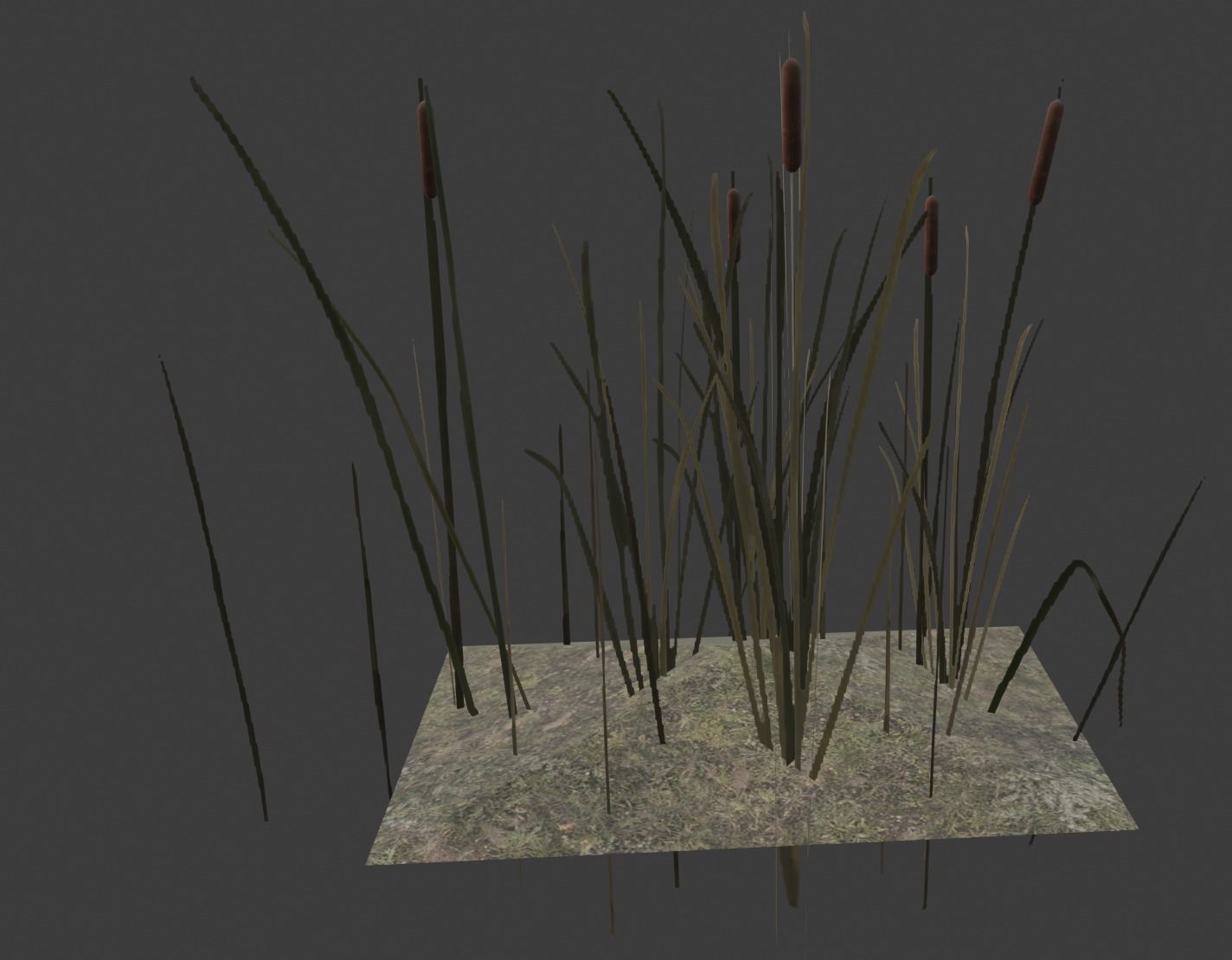 3D model grass seed VR / AR / low-poly | CGTrader