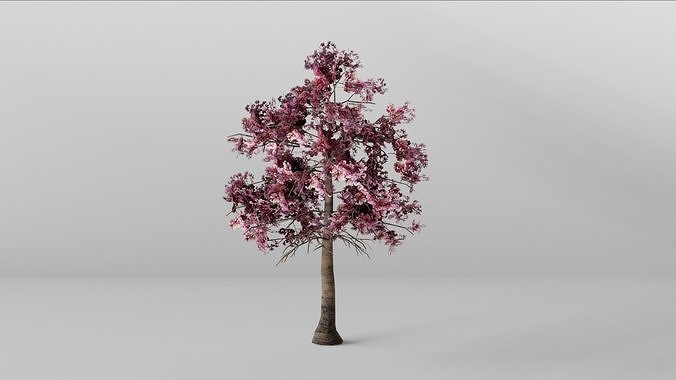 Cherry Tree 3D model | CGTrader