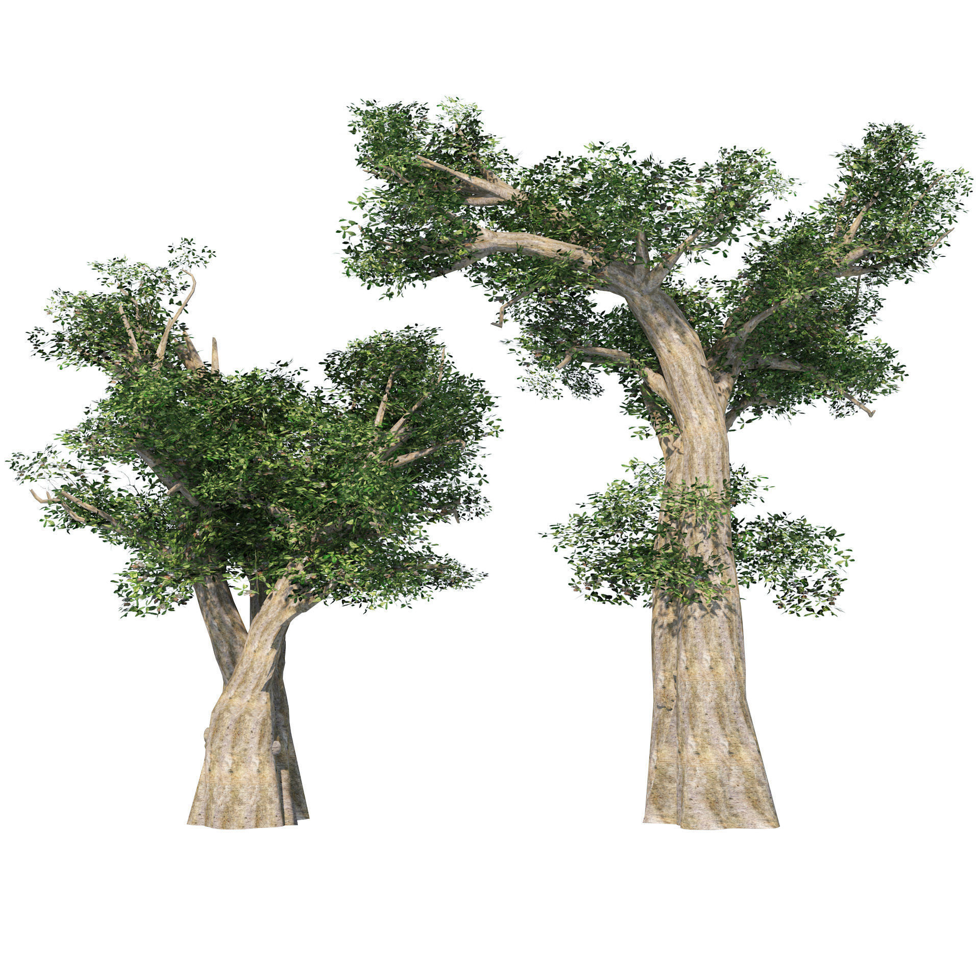 3D model low poly desert plants weed and trees VR / AR / low-poly ...