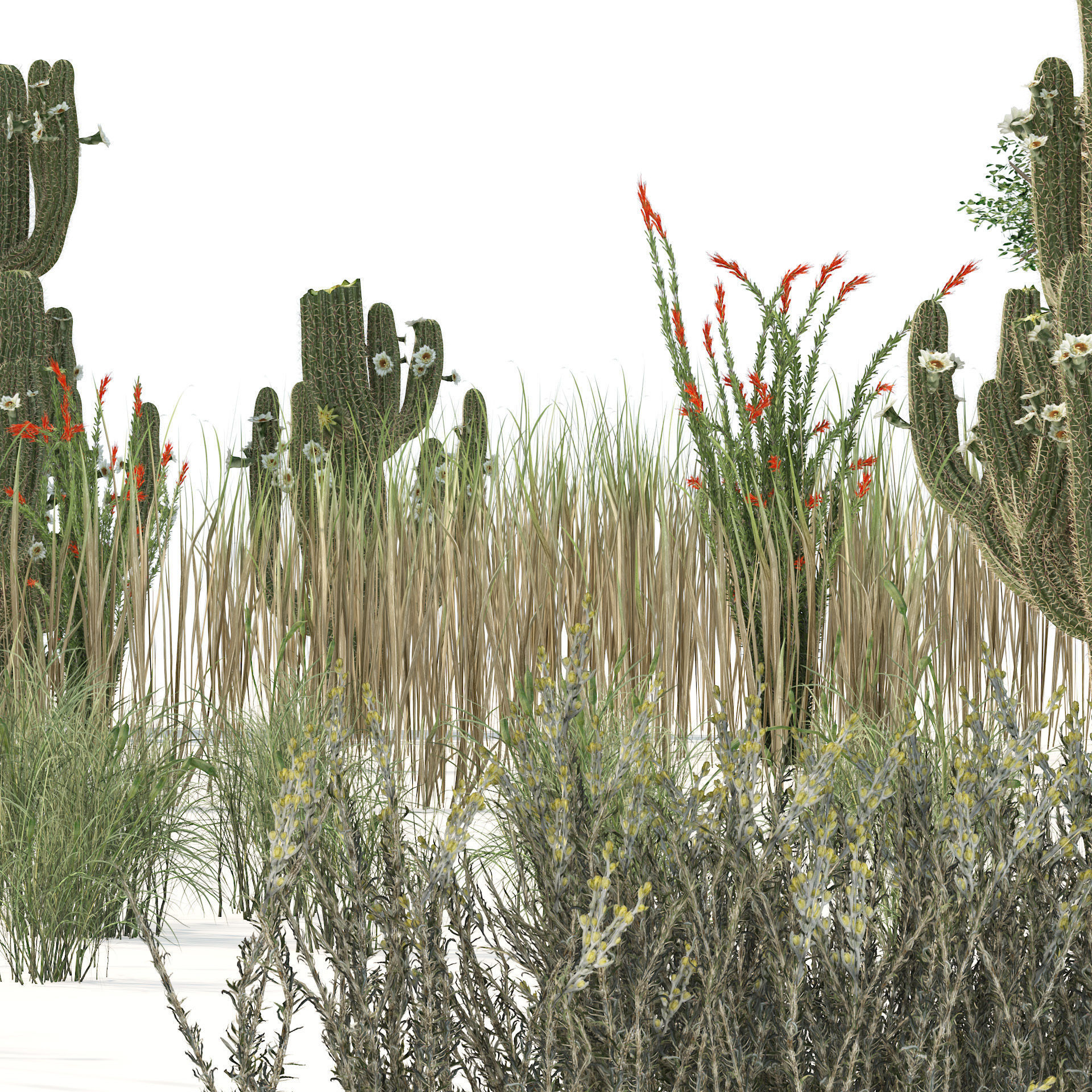 3D model low poly desert plants weed and trees VR / AR / low-poly ...