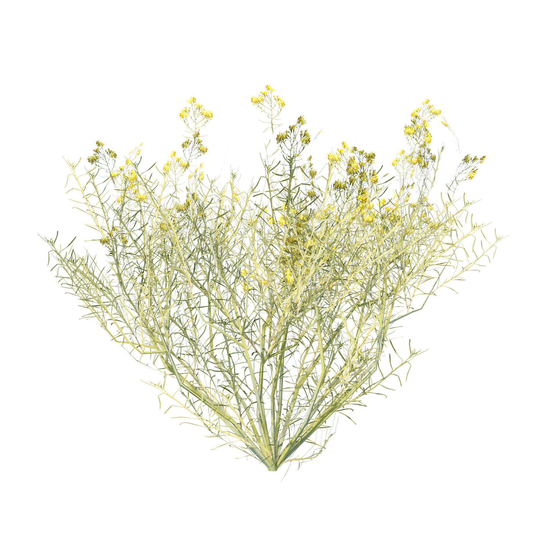 3D model low poly desert plants weed and trees VR / AR / low-poly ...