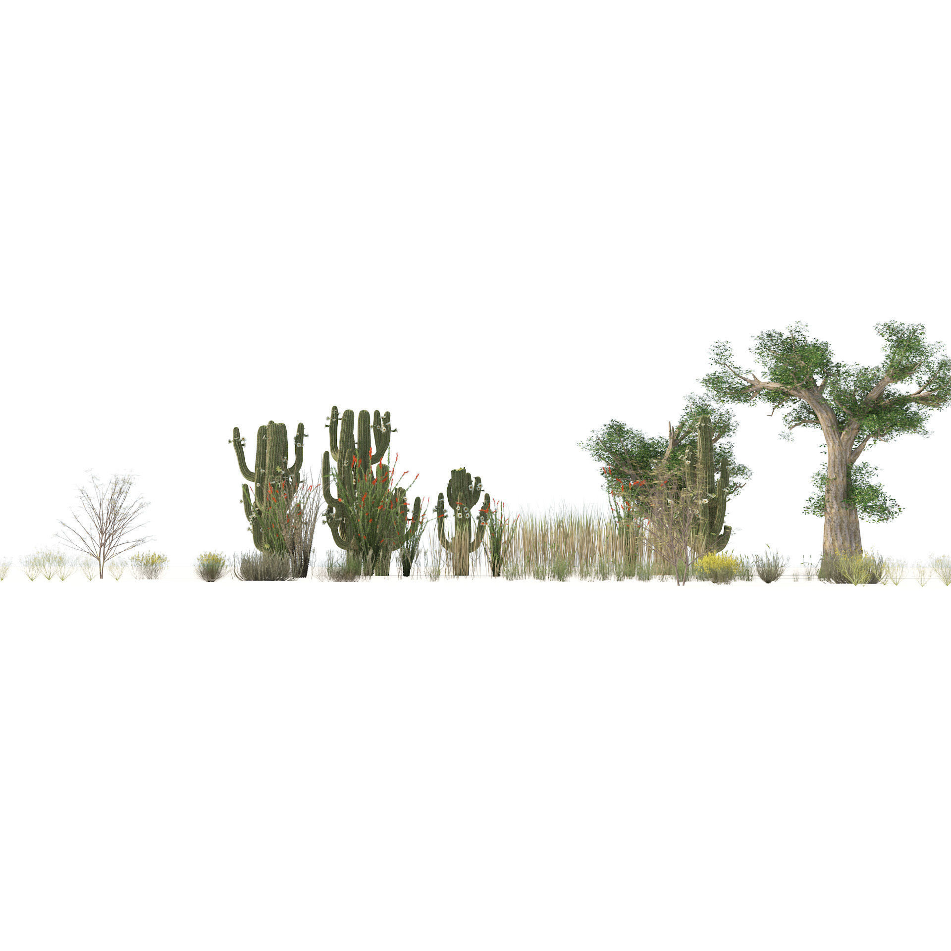 3D model low poly desert plants weed and trees VR / AR / low-poly ...