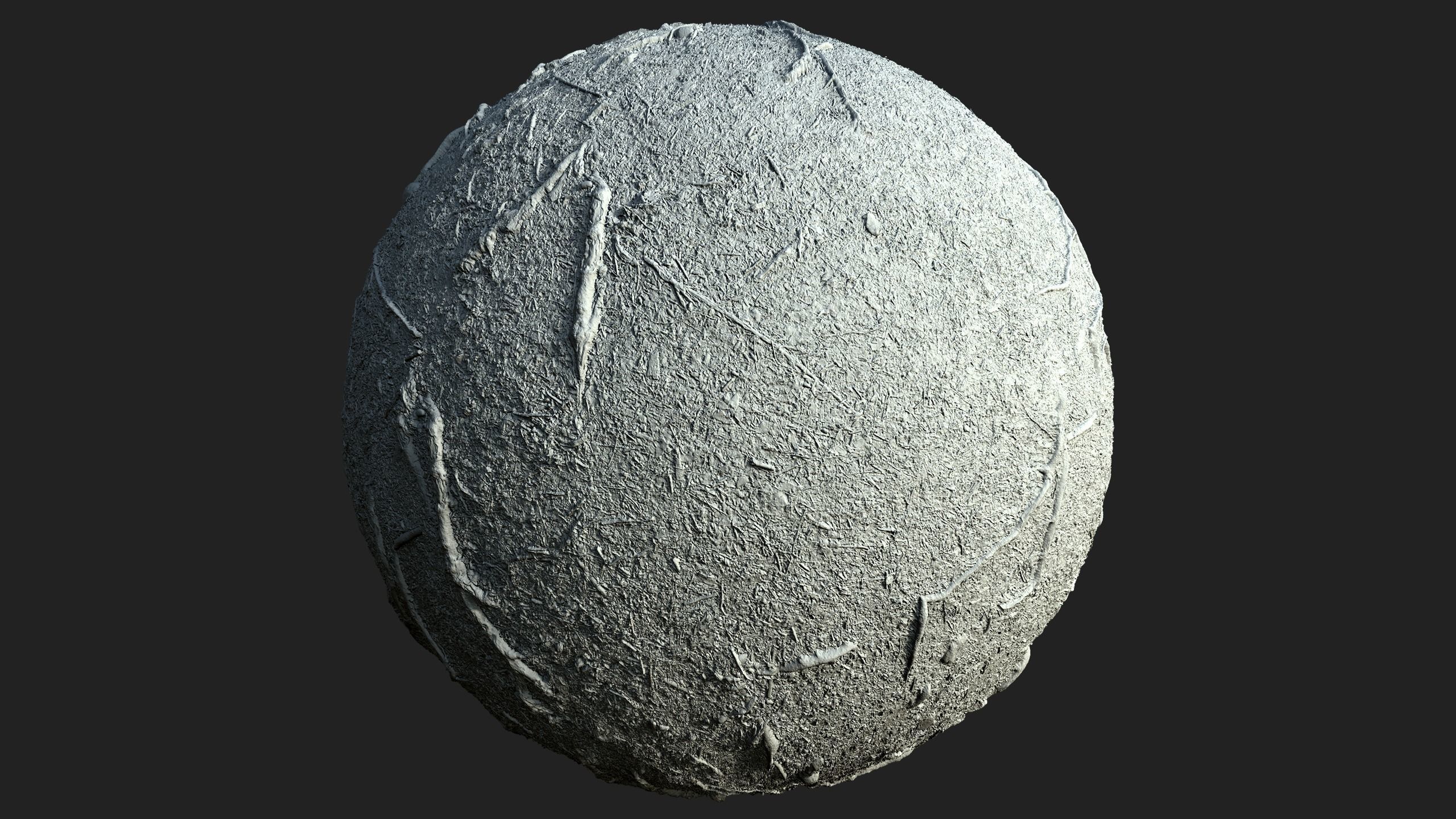 Forest Roots Ground 01 - Free 4K Material free Texture | CGTrader