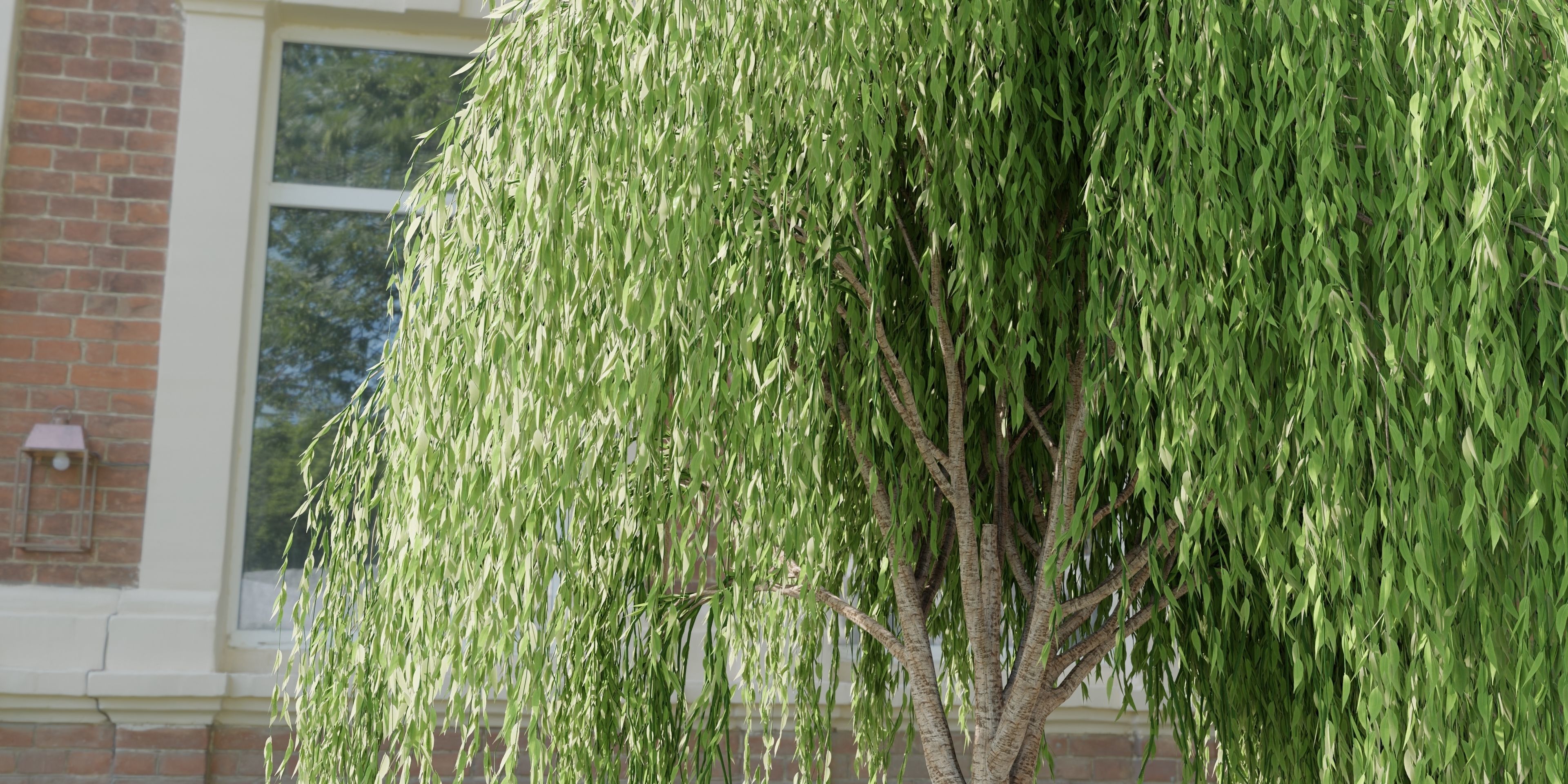 willow trees vol 7-Blender 3D model | CGTrader