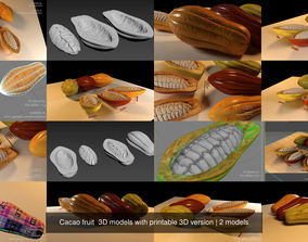 Cacao 3D Printing Models | CGTrader