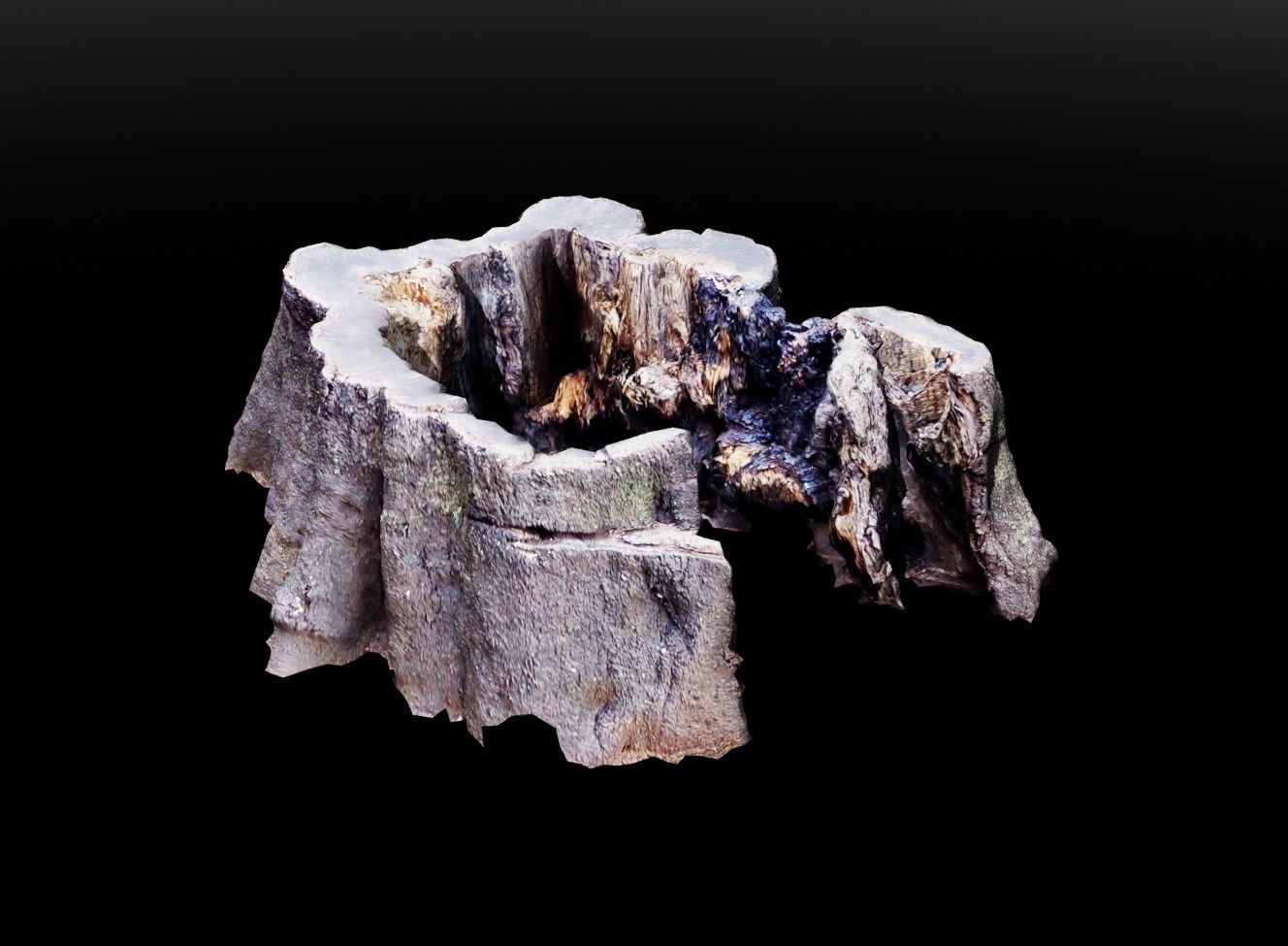 Wood Scan Asset 1 3D model | CGTrader