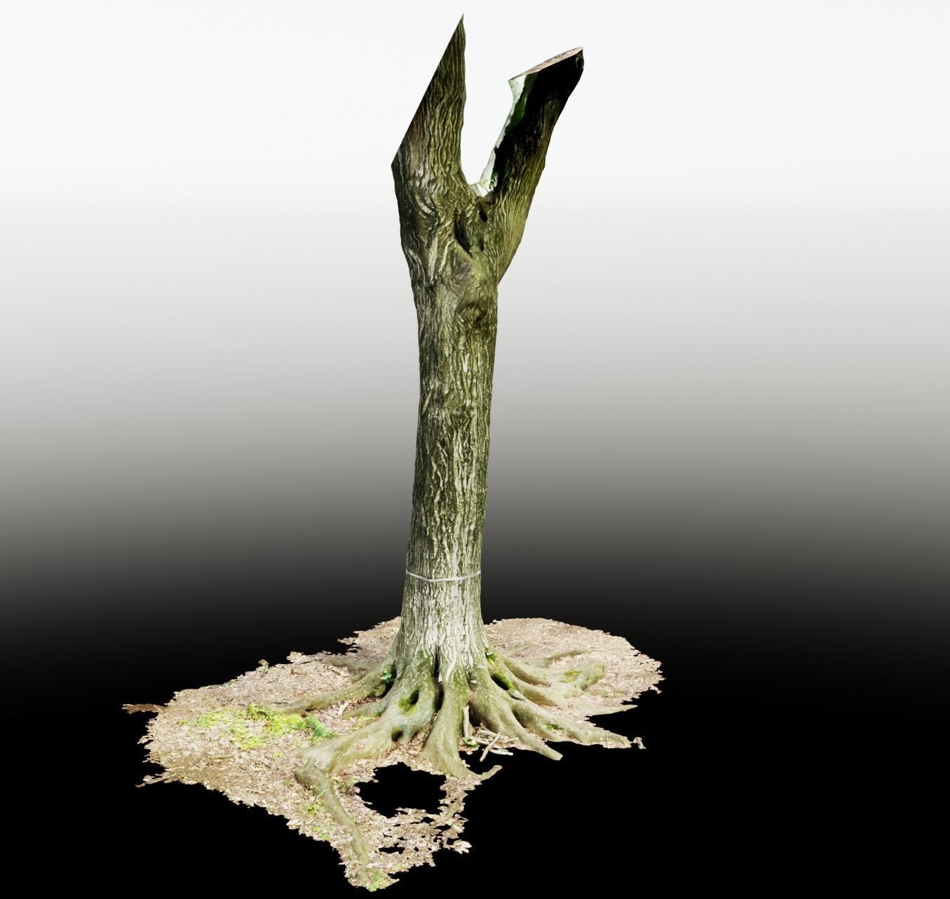 Wood Scan Asset 3 3D model | CGTrader