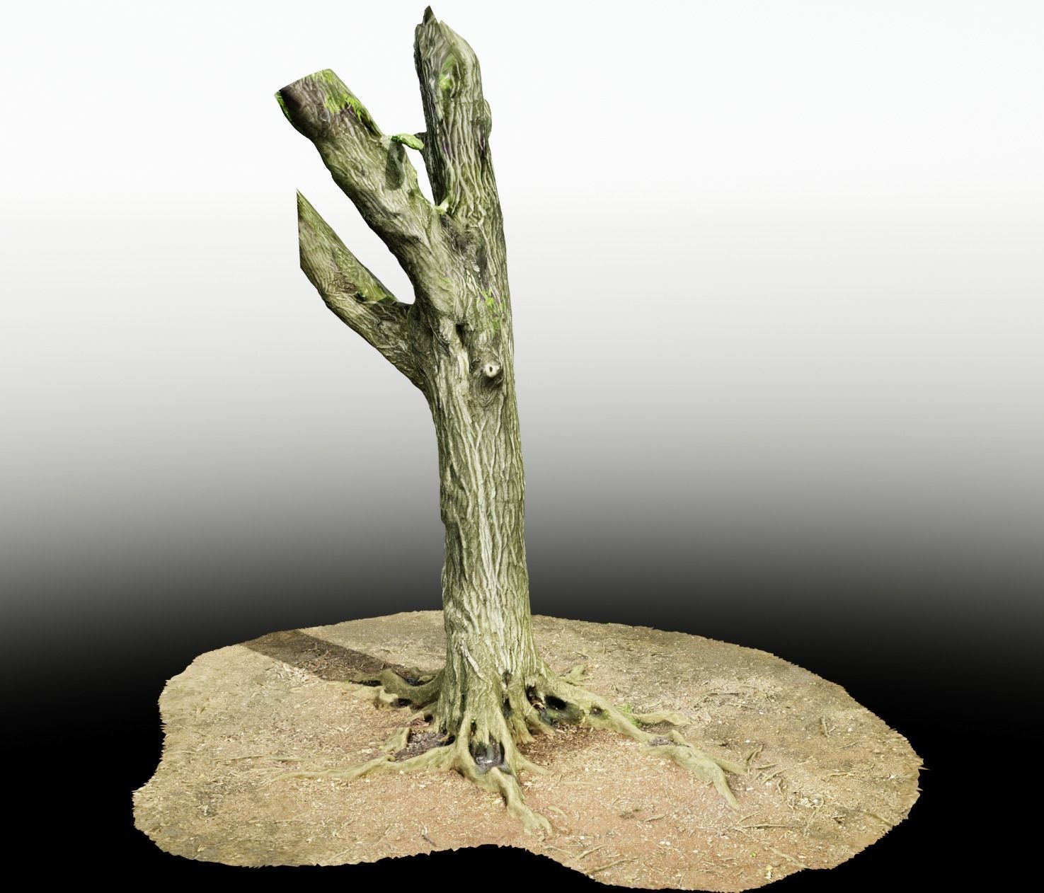Wood Scan Asset 4 3D model | CGTrader