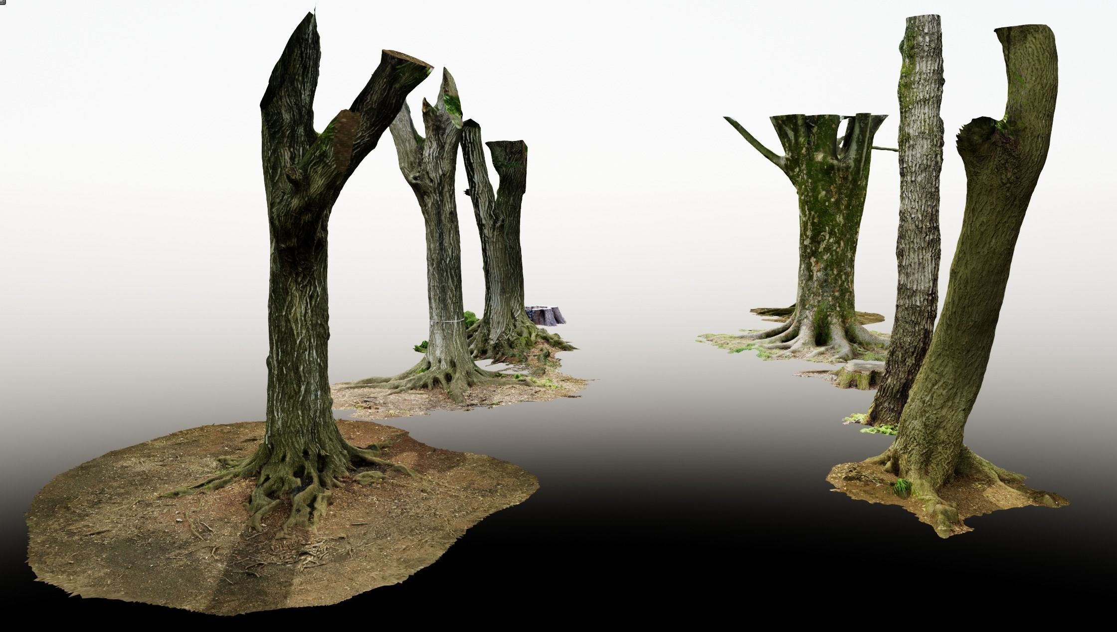 Wood Scan Full Pack 3D model | CGTrader