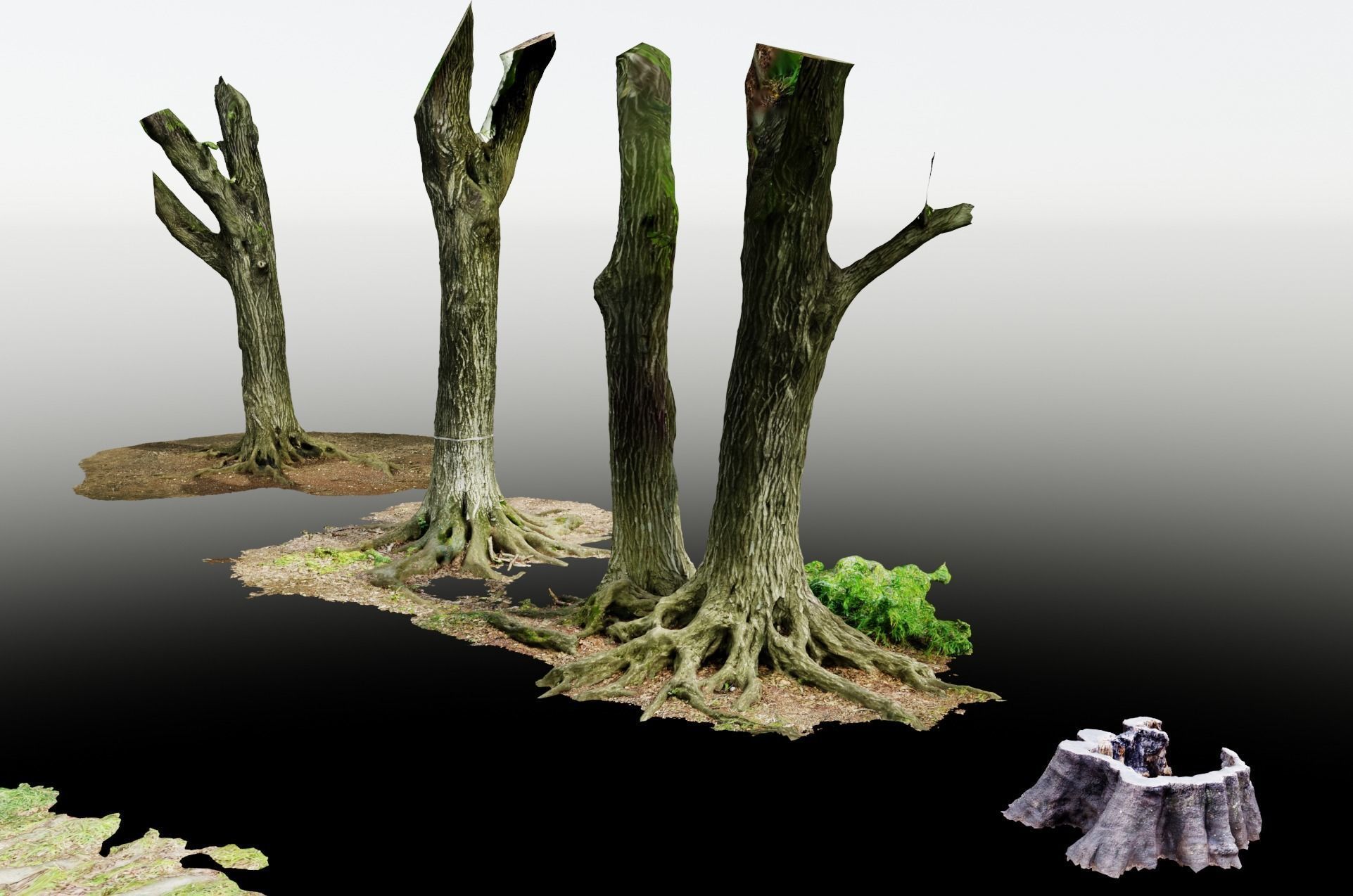 Wood Scan Full Pack 3D model | CGTrader
