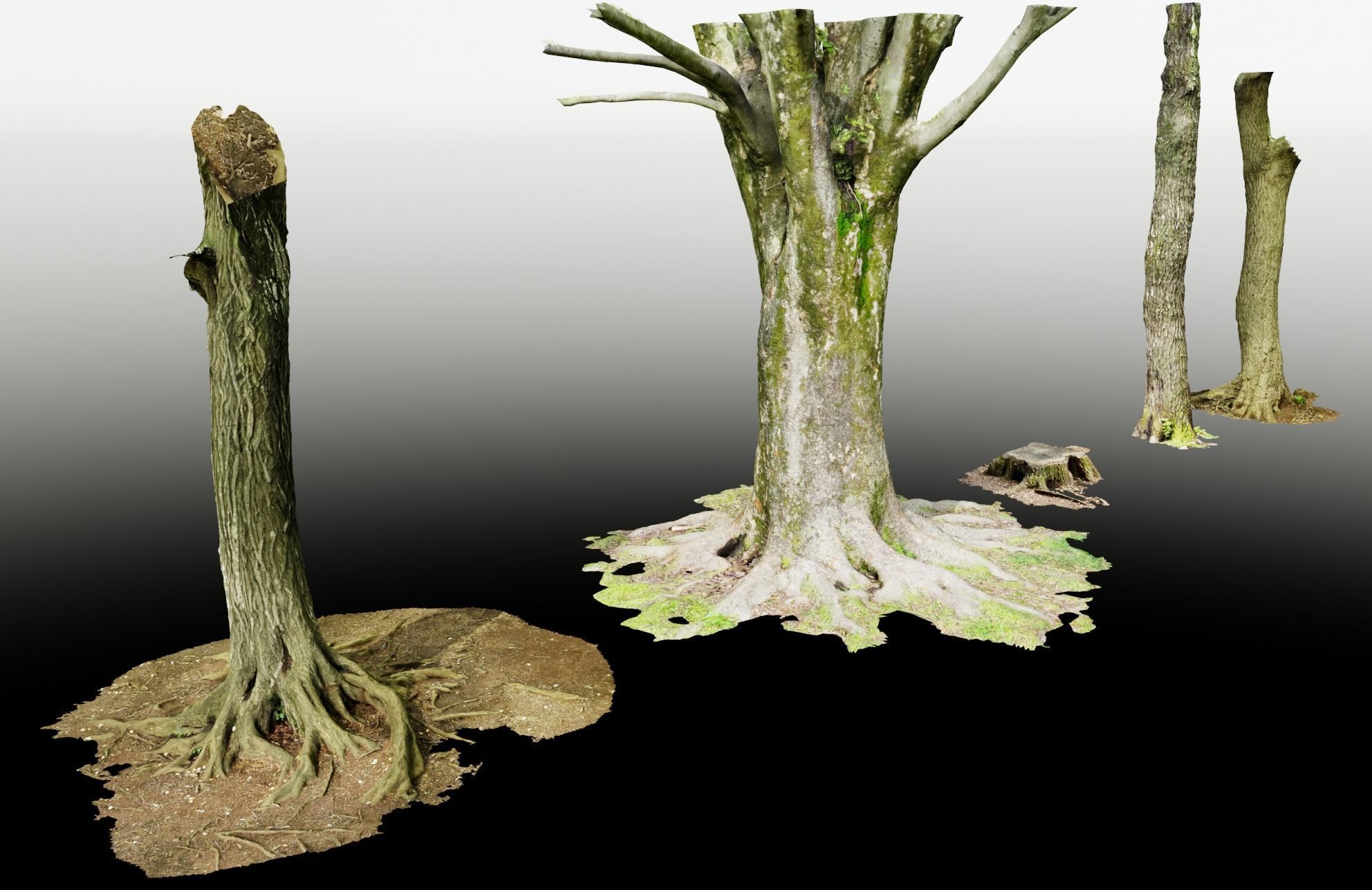 Wood Scan Full Pack 3D model | CGTrader