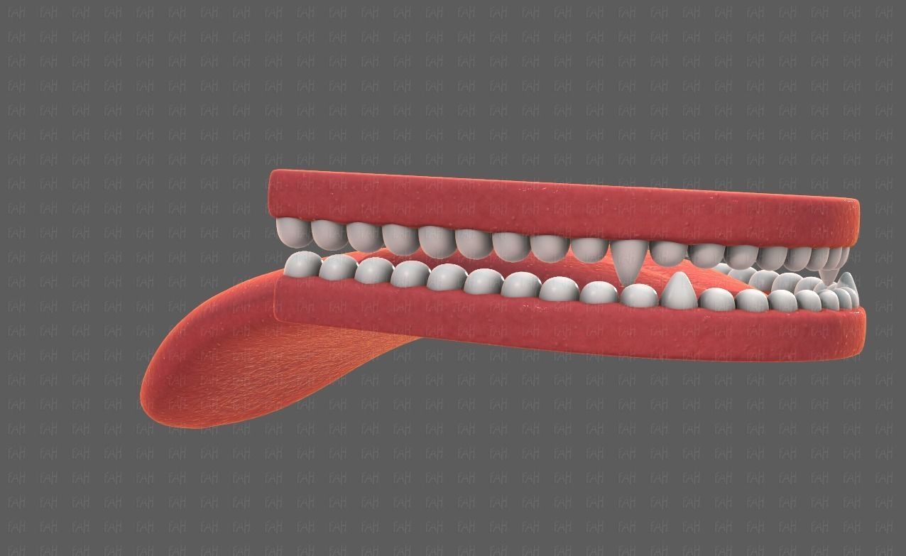 3D model Teeth Cartoon V02 VR / AR / low-poly | CGTrader
