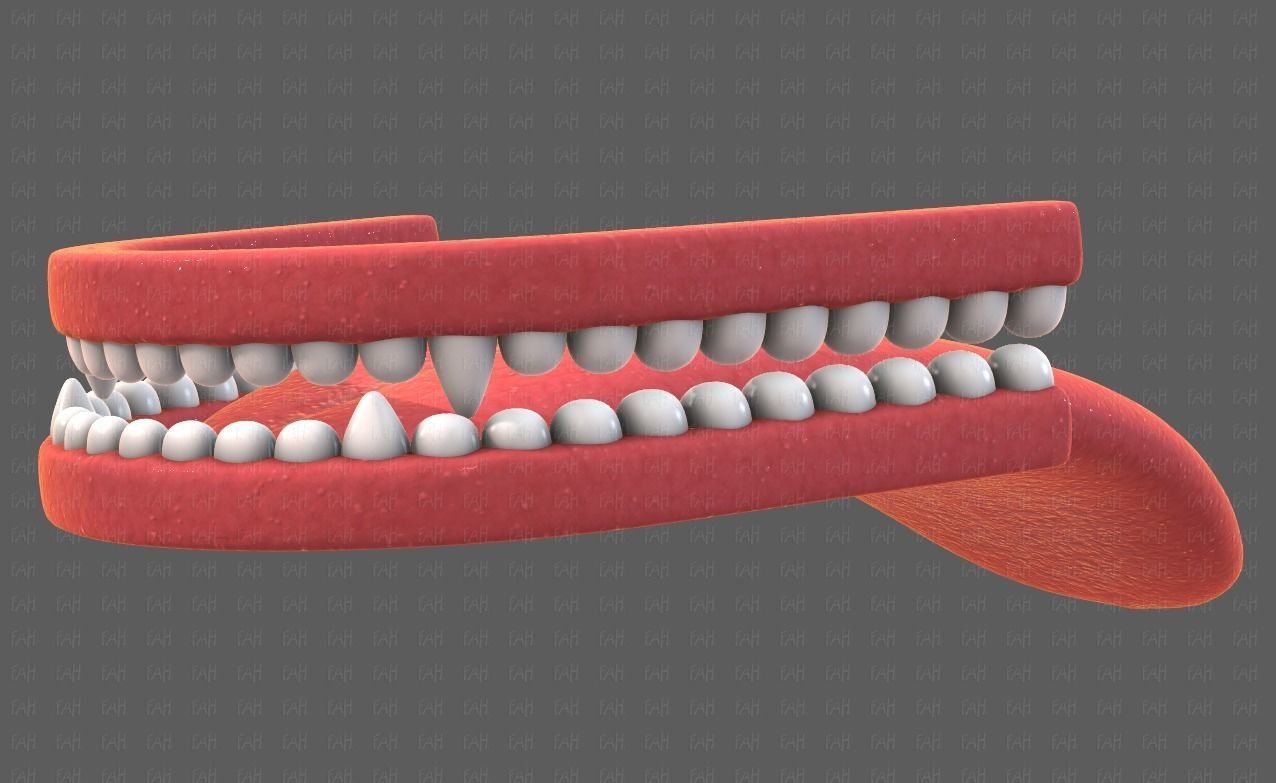 3D model Teeth Cartoon V02 VR / AR / low-poly | CGTrader