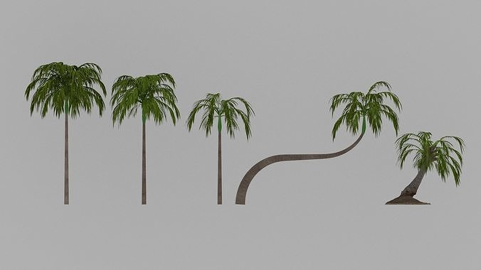 Palm Tree Pack 3D model | CGTrader