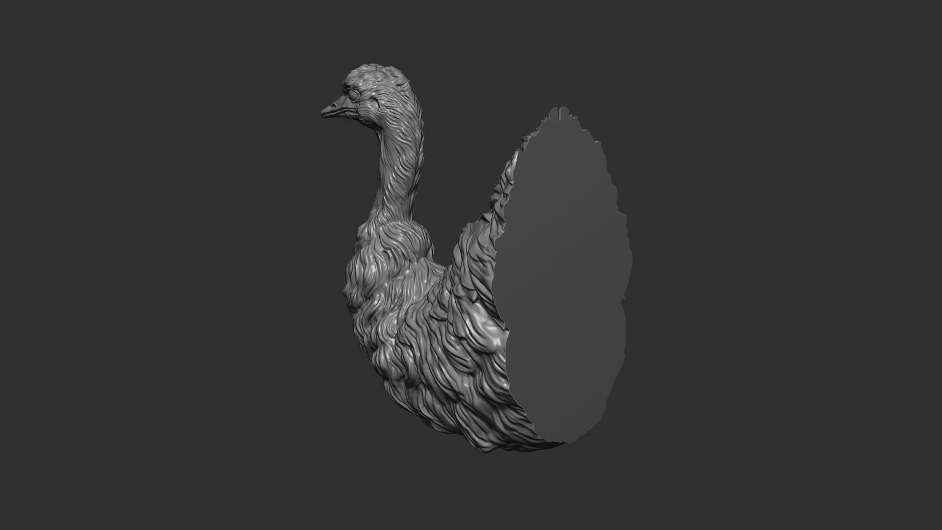 Emu ostrich bust 3D model 3D printable | CGTrader