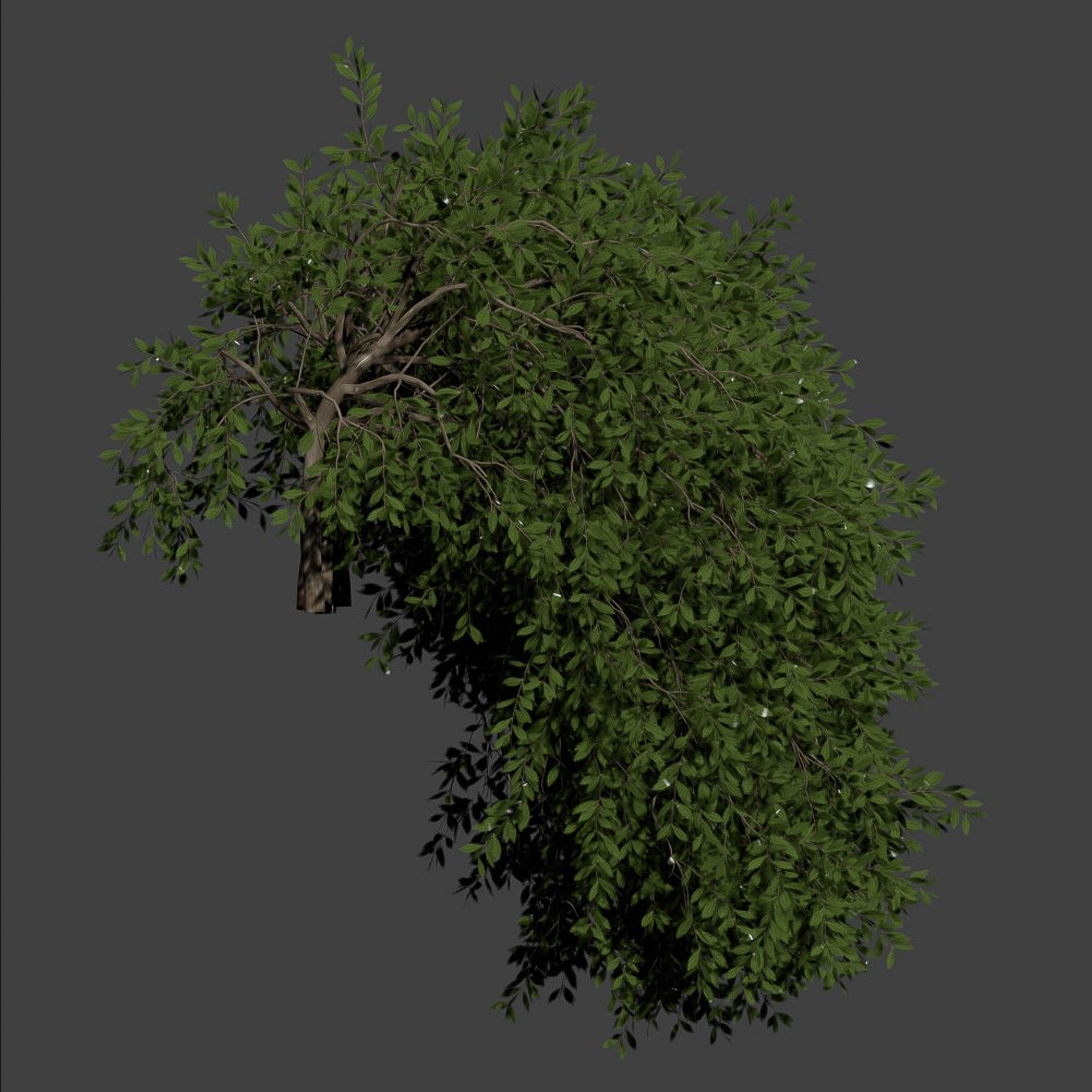 Hanging wall creeper plants collection vol 230 3D model | CGTrader