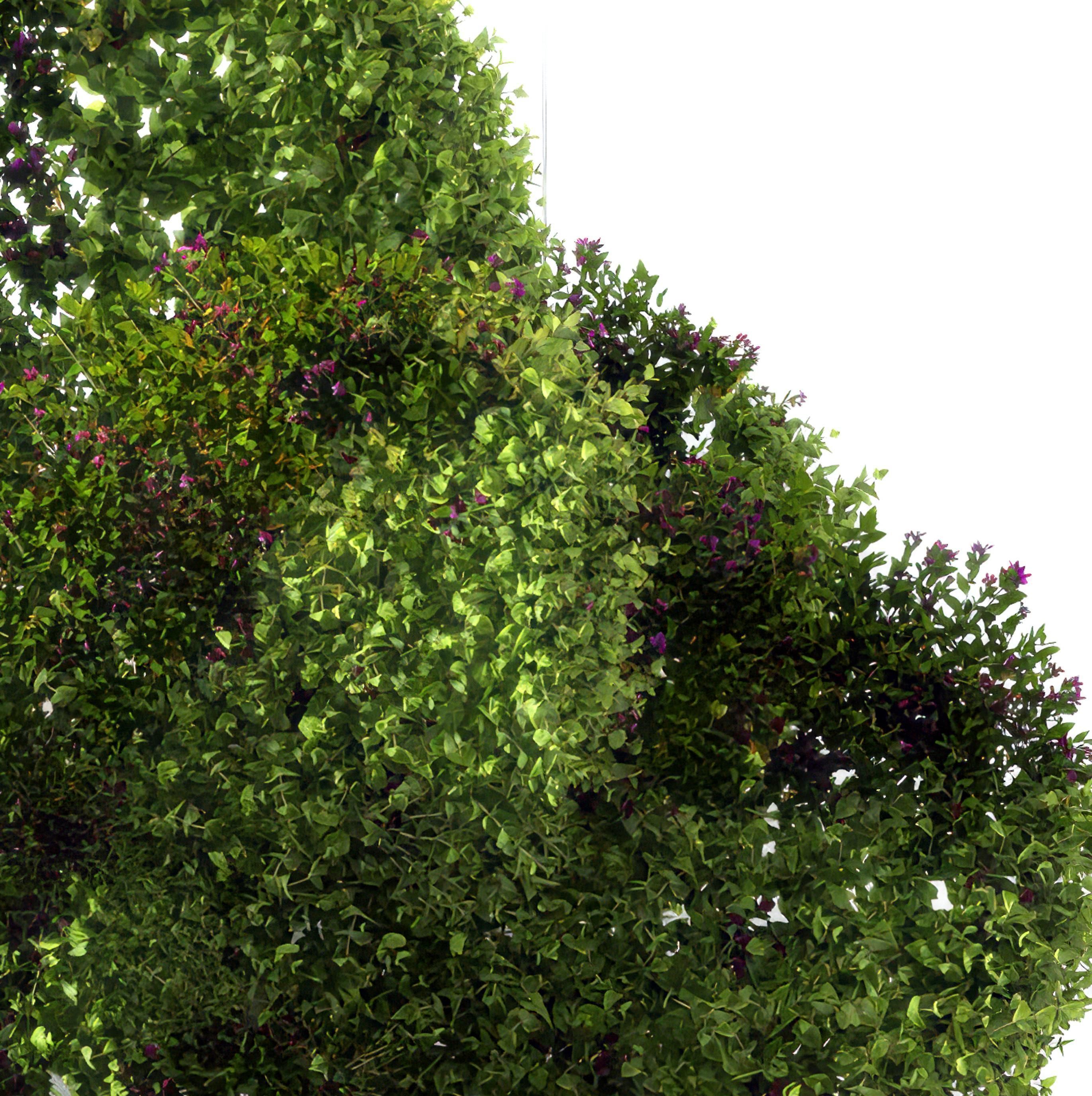 outdoor Modern greenery 3D model | CGTrader