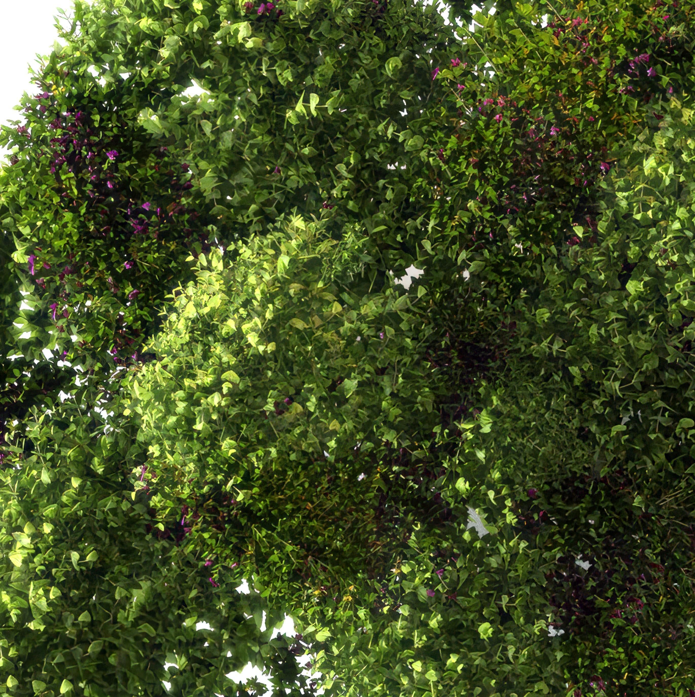 outdoor Modern greenery 3D model | CGTrader